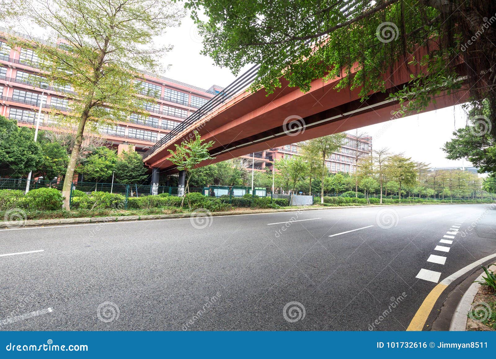 Road under the bridge stock photo. Image of china, tree - 101732616