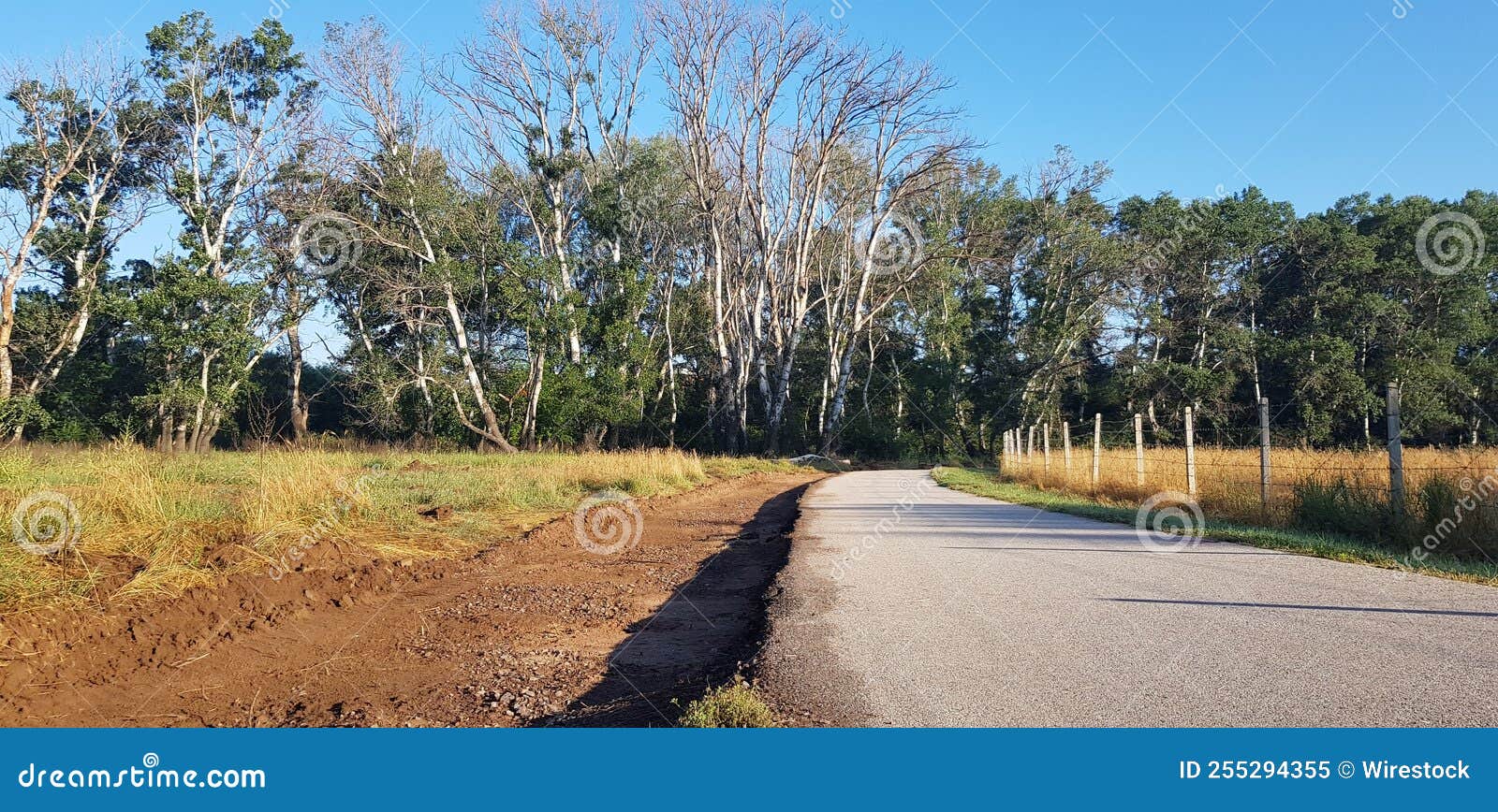 Road Under Construction Leading To a Forest. Stock Image - Image of ...
