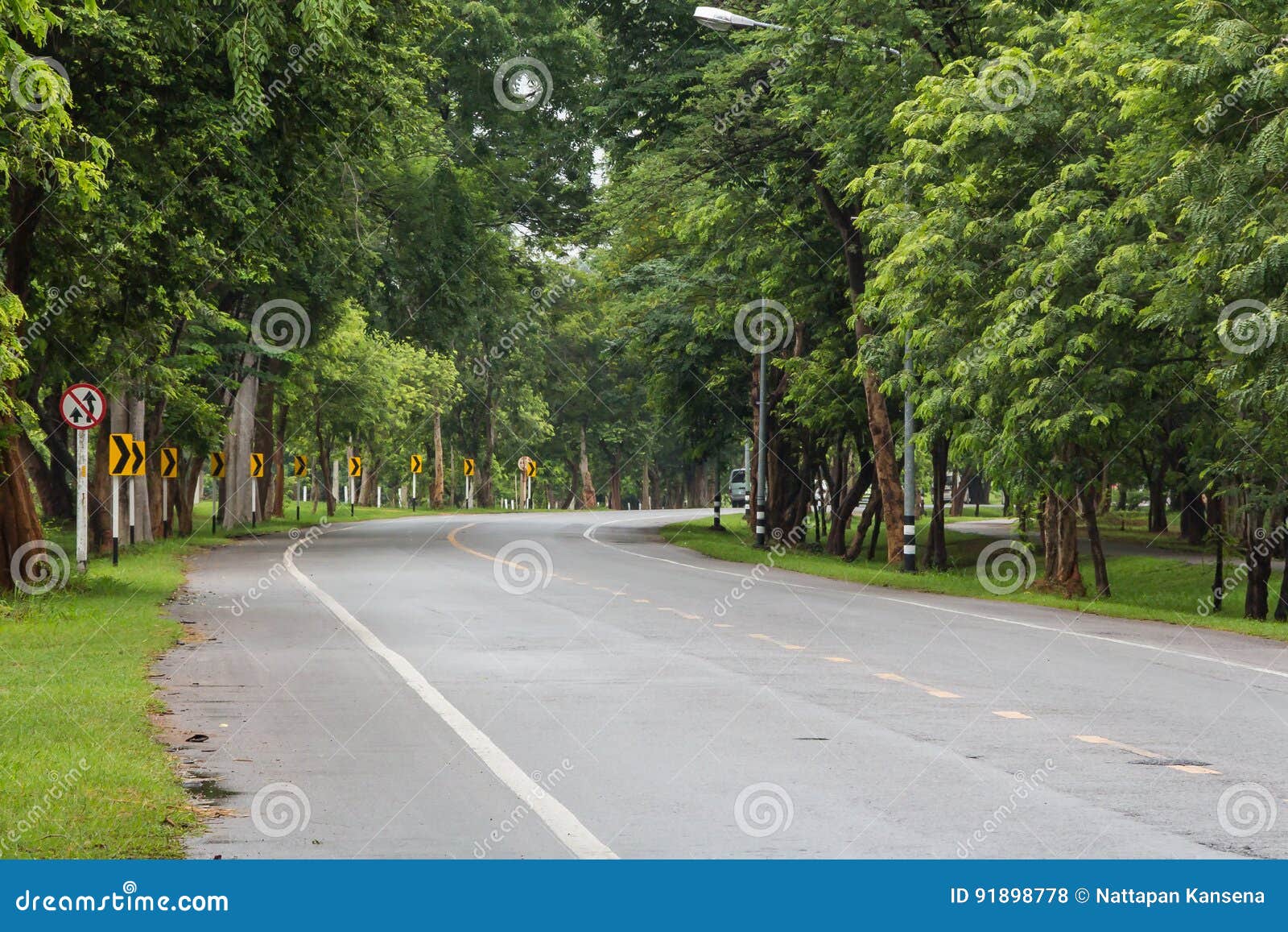 Road under the trees stock photo. Image of green, light - 91898778