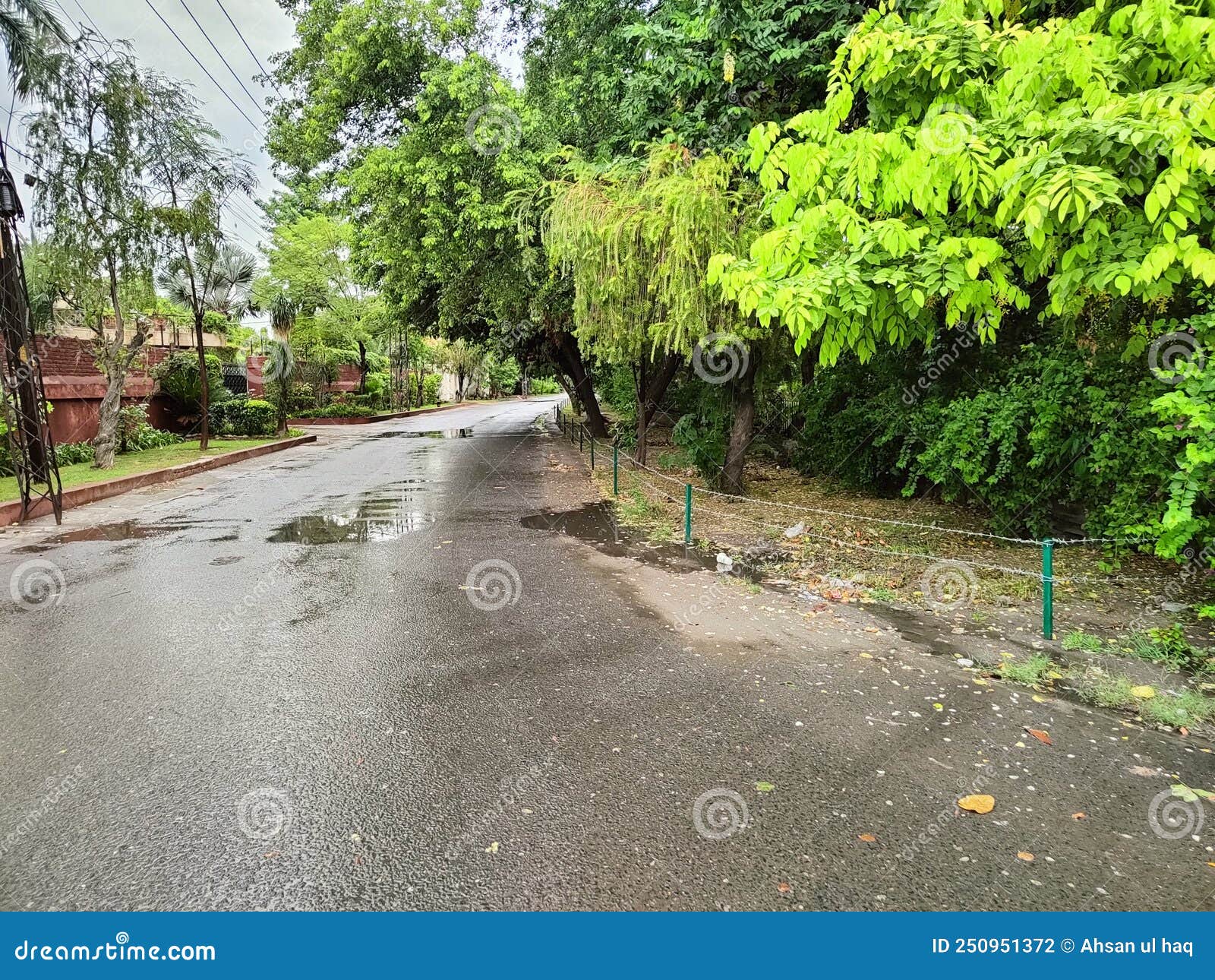 Road View with Greenery stock photo. Image of trail - 250951372