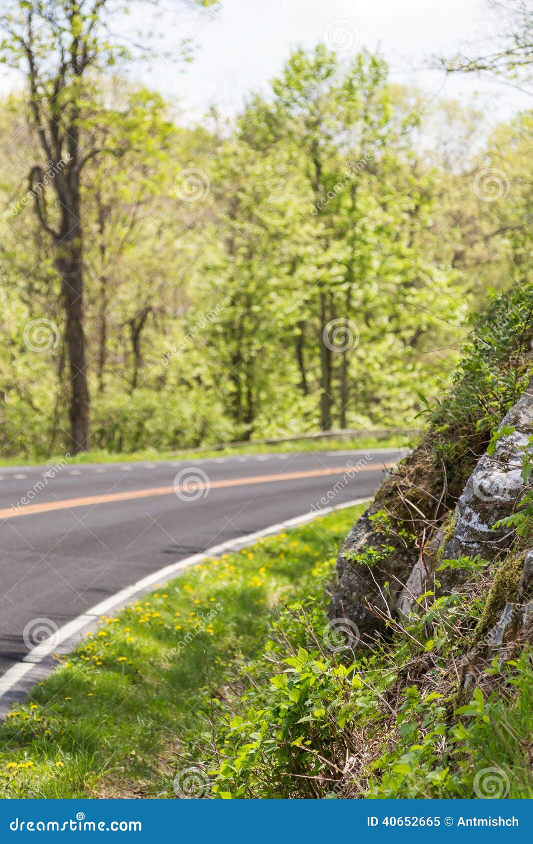 Road View in Mountains in Virginia Stock Image - Image of tree, spring ...