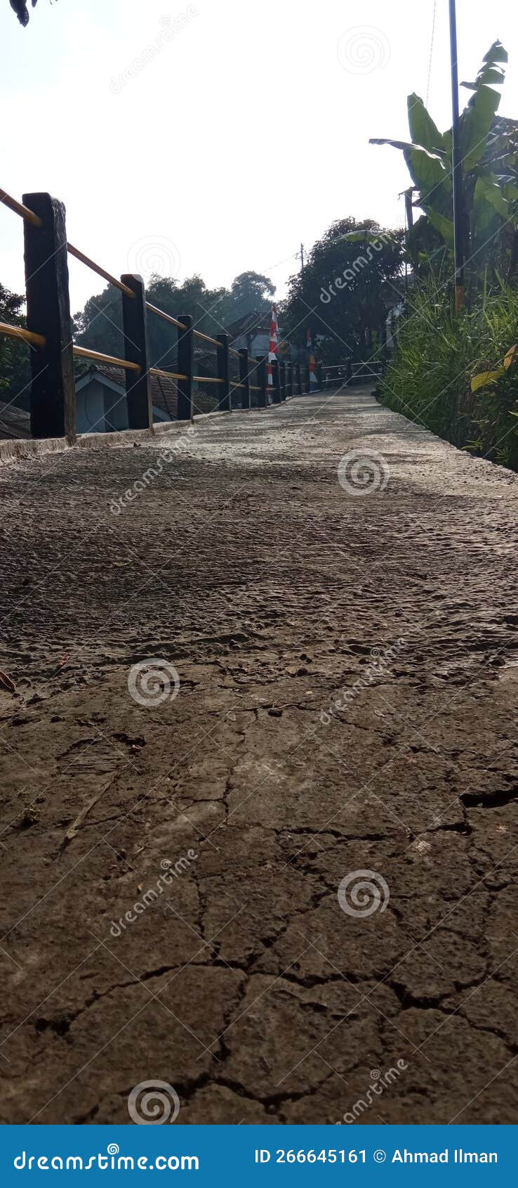 Road in a Village Full of Trees Stock Image - Image of road, tree ...