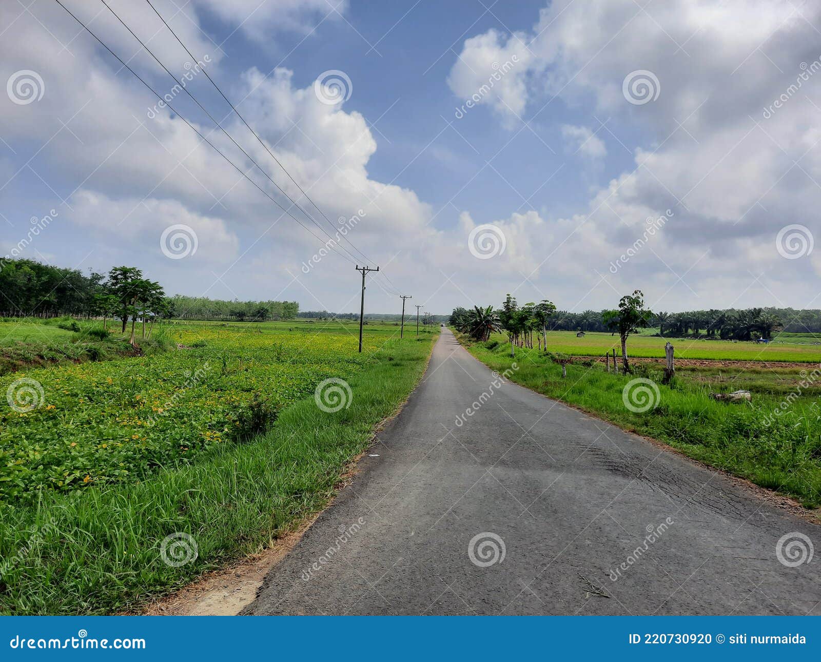 The Road in the Village with Green Scenery Stock Photo - Image of ...