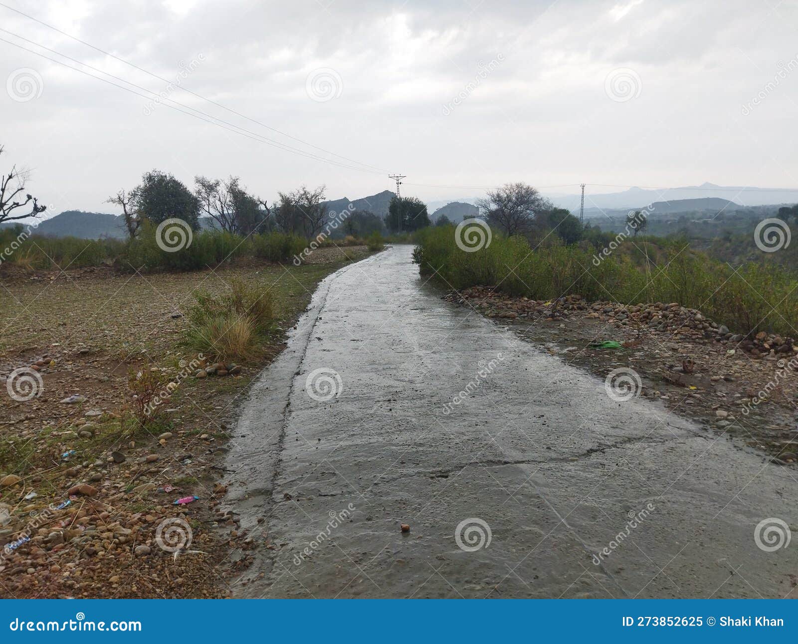 Road in village stock image. Image of highway, tree - 273852625