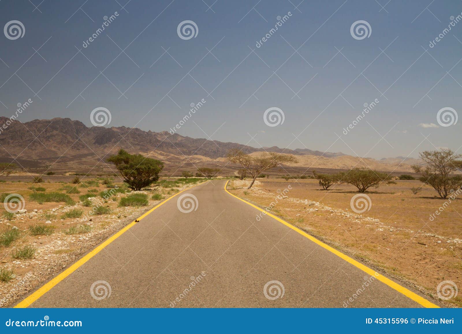Road in Wadi Araba editorial photo. Image of adventure - 45315596