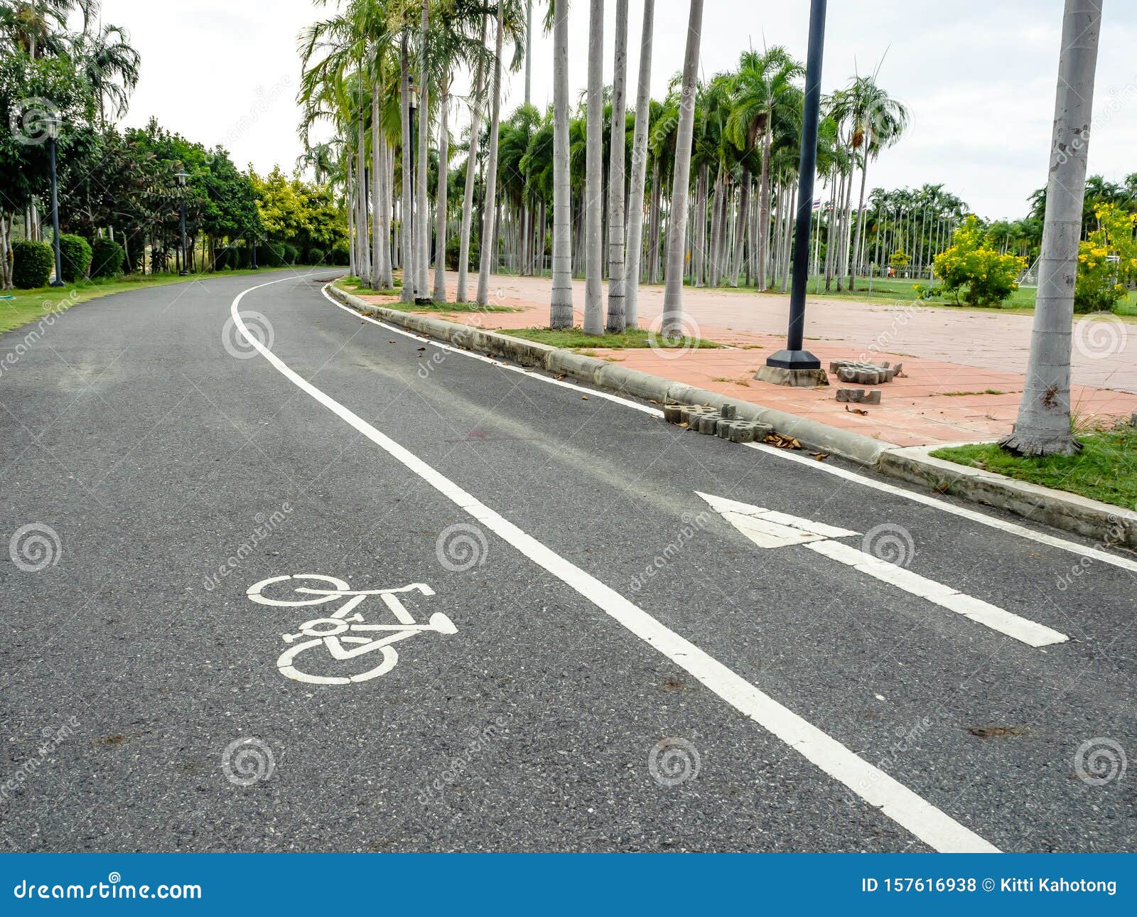 Road, Walkway and Running in the Park Stock Photo - Image of road ...