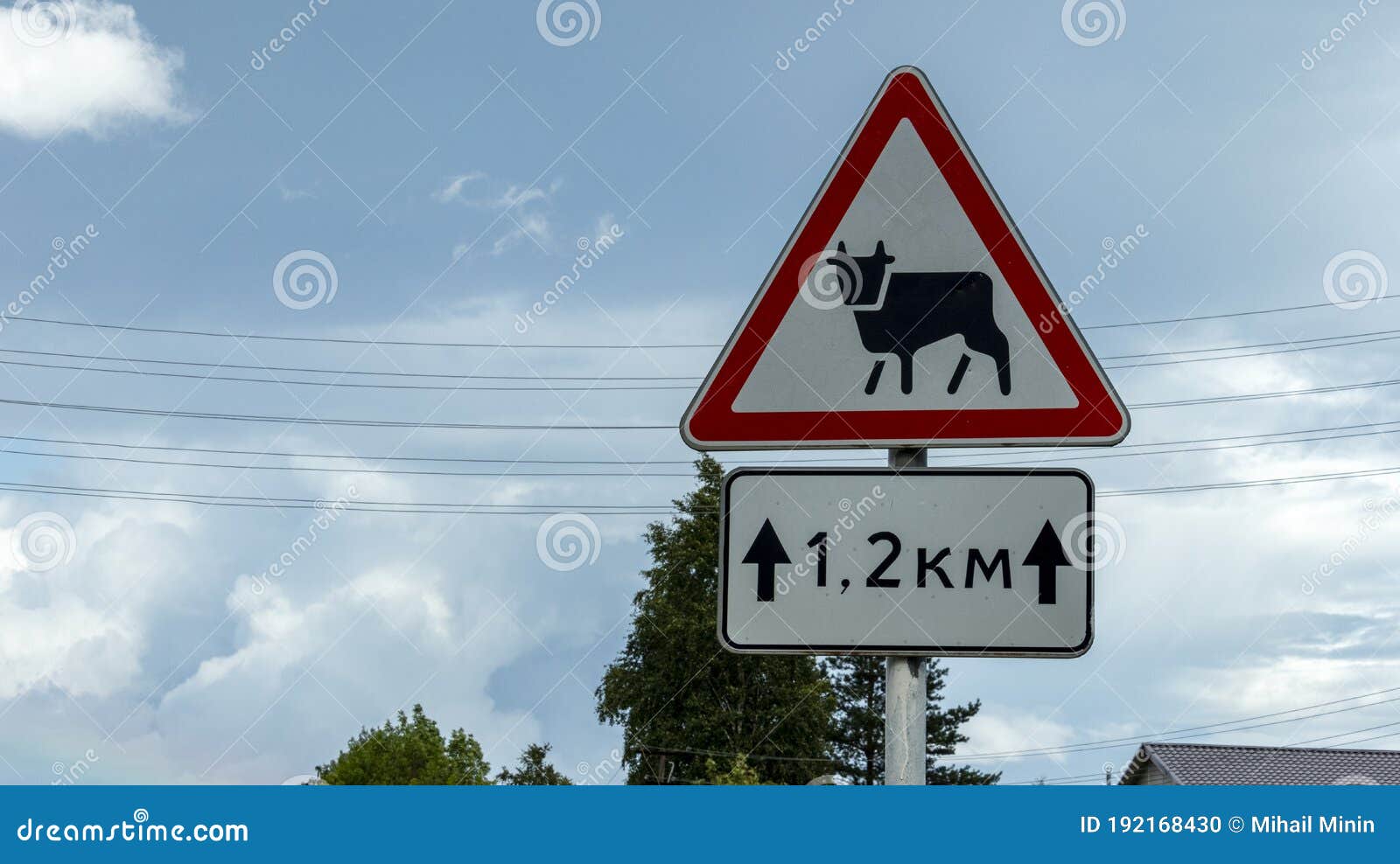 Road Warning Sign Ahead Animals Stock Photo - Image of concept ...