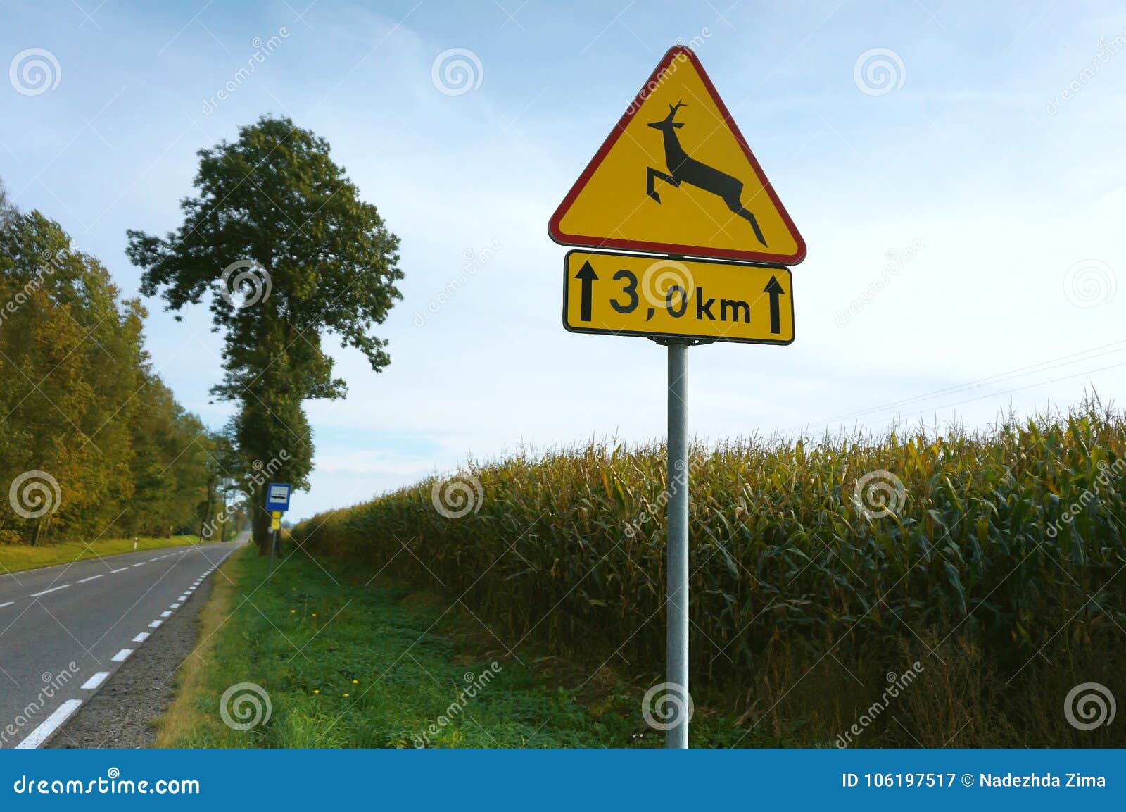 Road Warning Sign `beware of Animals Crossing Traffic` Stock Image ...