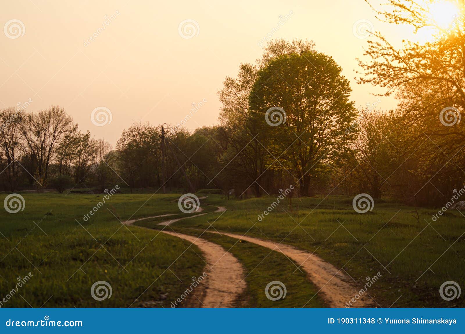 Road, way forward stock photo. Image of single, highway - 190311348