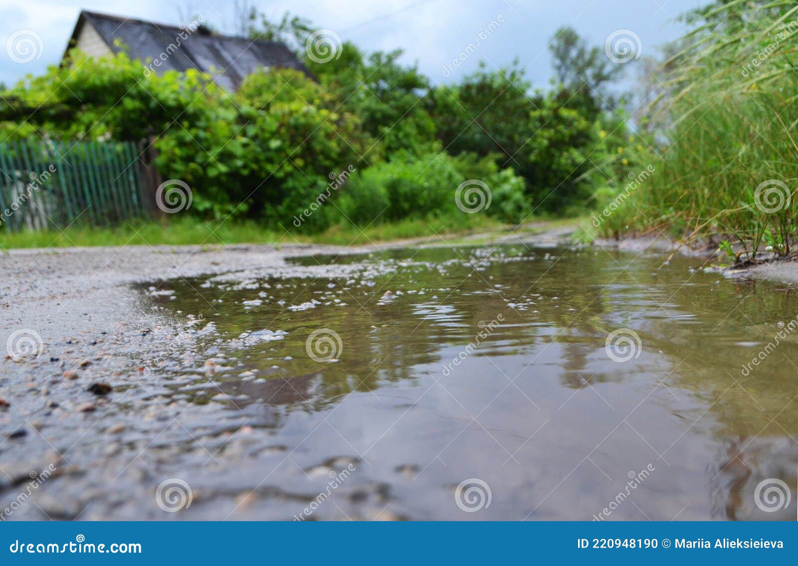 Wet Asphalt. Rain In The Park. Wet Surface. The Road After The Rain ...