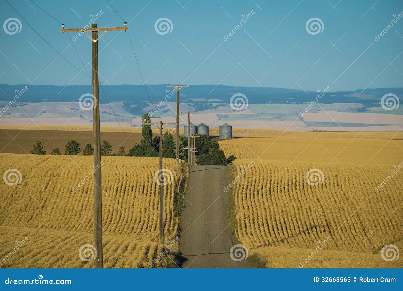Road, Wheat Fields, Washington State Stock Image - Image of electrical ...