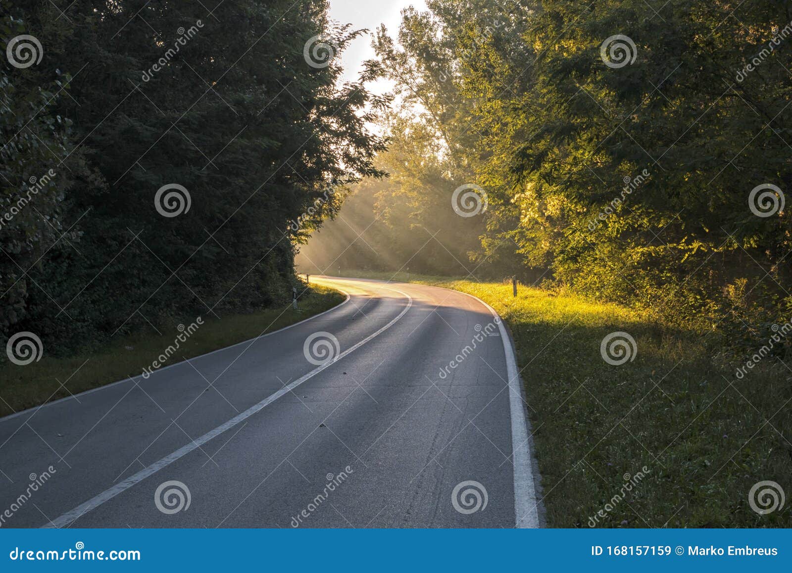 Light at the End of the Road Stock Image - Image of inspiration, autumn ...