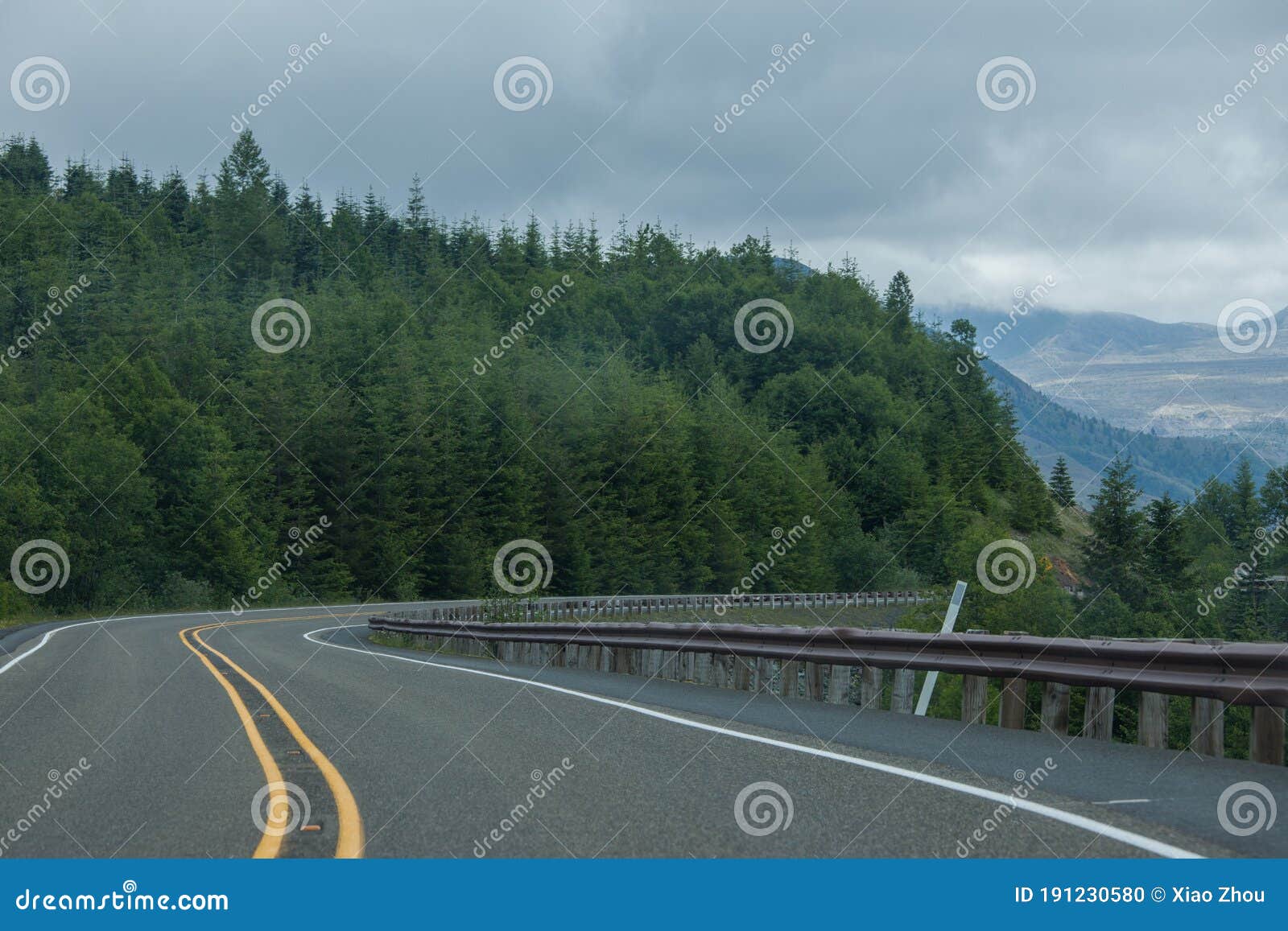 Road in wilderness stock photo. Image of forest, trup - 191230580