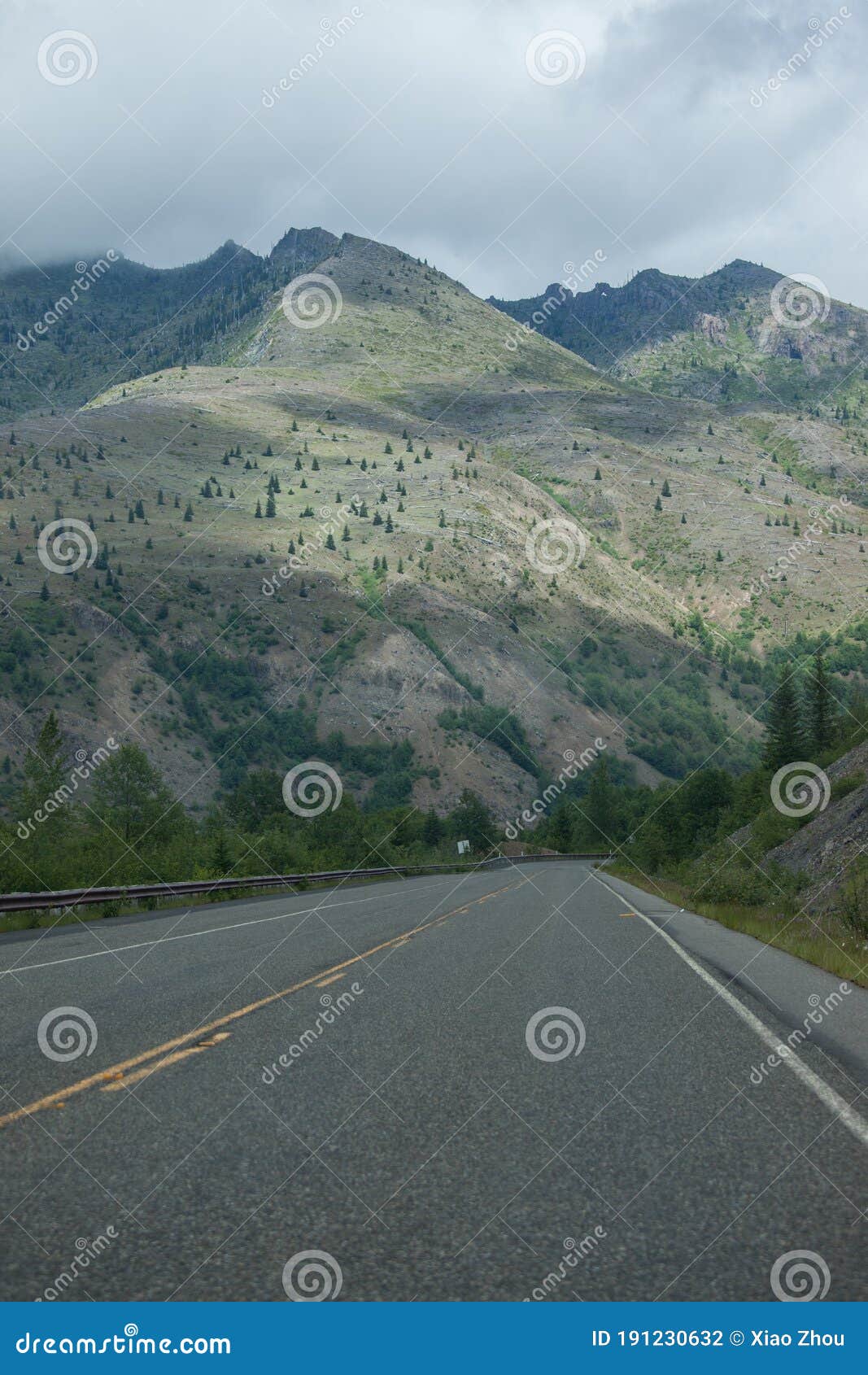 Road in wilderness stock photo. Image of lane, winter - 191230632