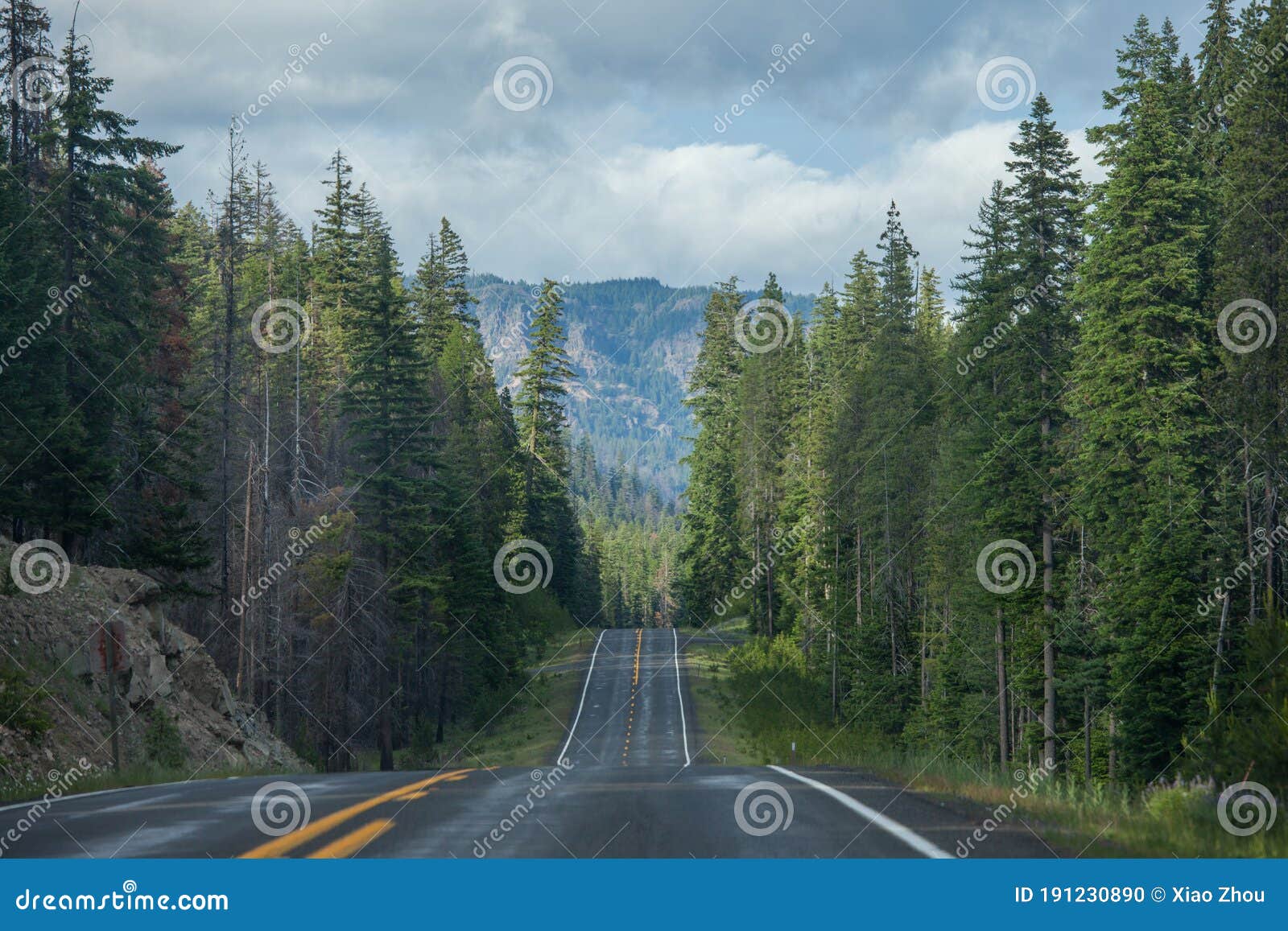 Road in wilderness stock photo. Image of faraway, speed - 191230890
