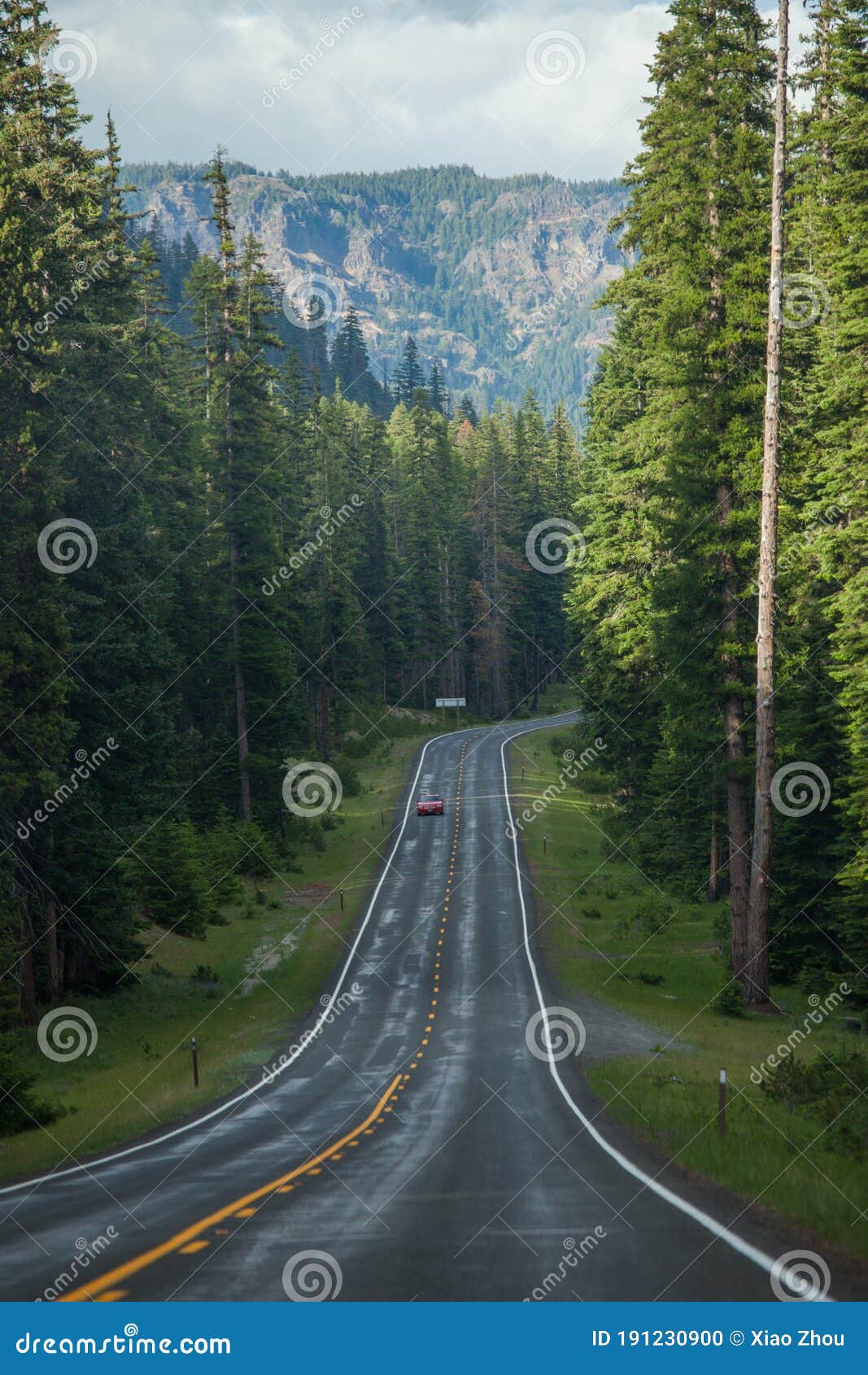 Road in wilderness stock photo. Image of cross, faraway - 191230900
