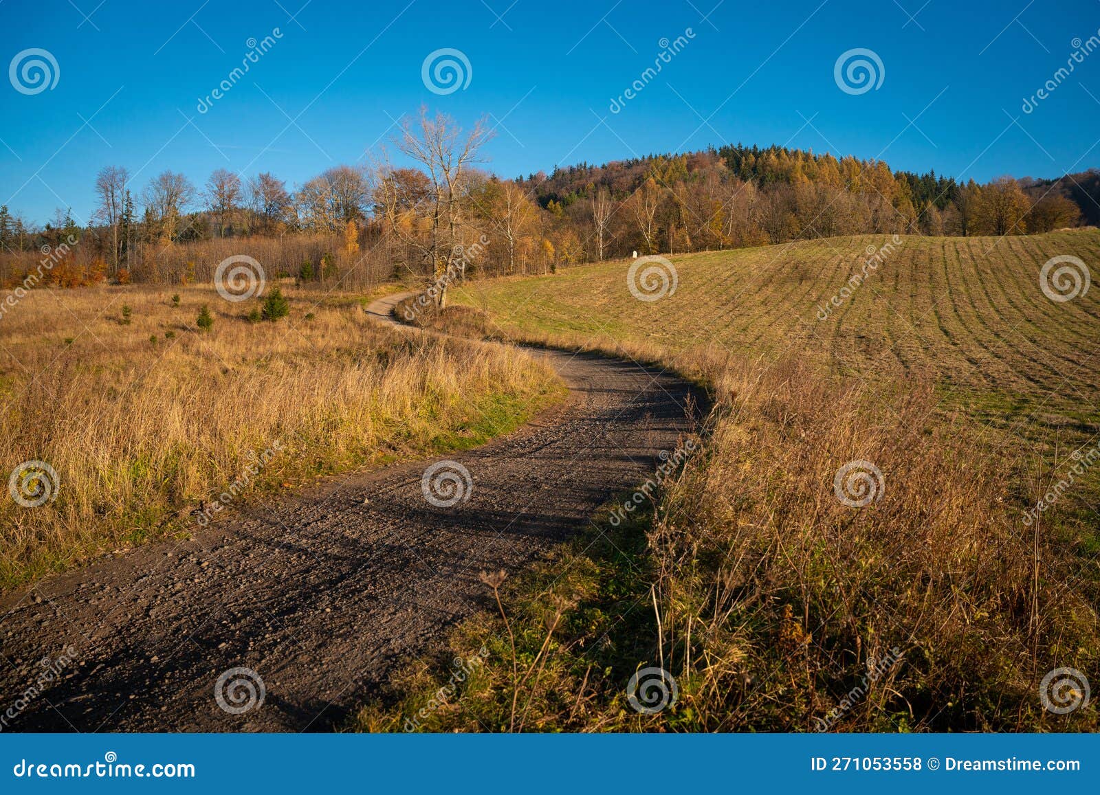 A Road Winding through Fields and Meadows. Part of the Hiking Trail ...