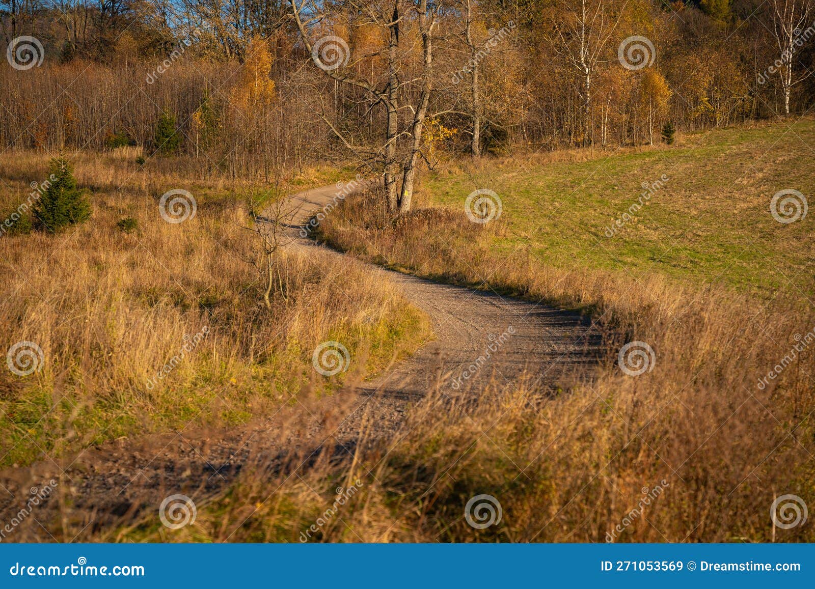 A Road Winding through Fields and Meadows. Part of the Hiking Trail ...
