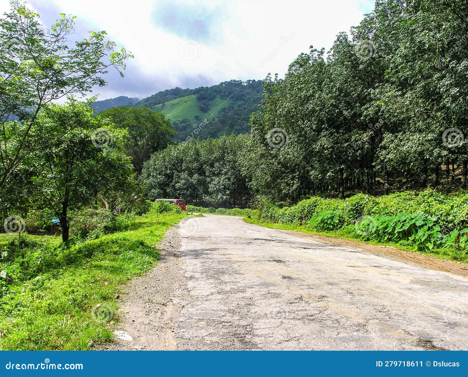 Road Winding through a Hilly Forest Stock Image - Image of curve, bush ...