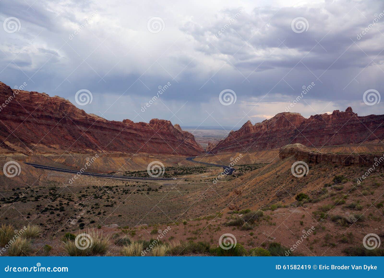 Spotted Wolf Spider Royalty-Free Stock Image | CartoonDealer.com #253432000