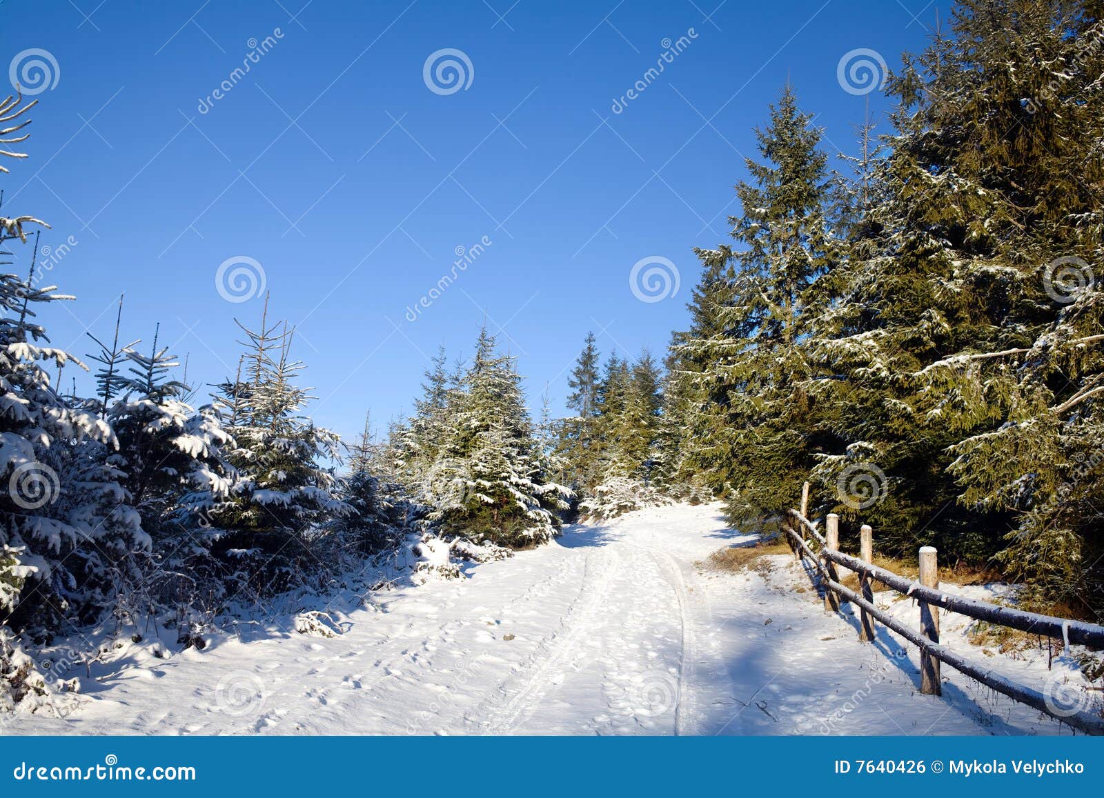 Road in winter forest stock photo. Image of road, frost - 7640426