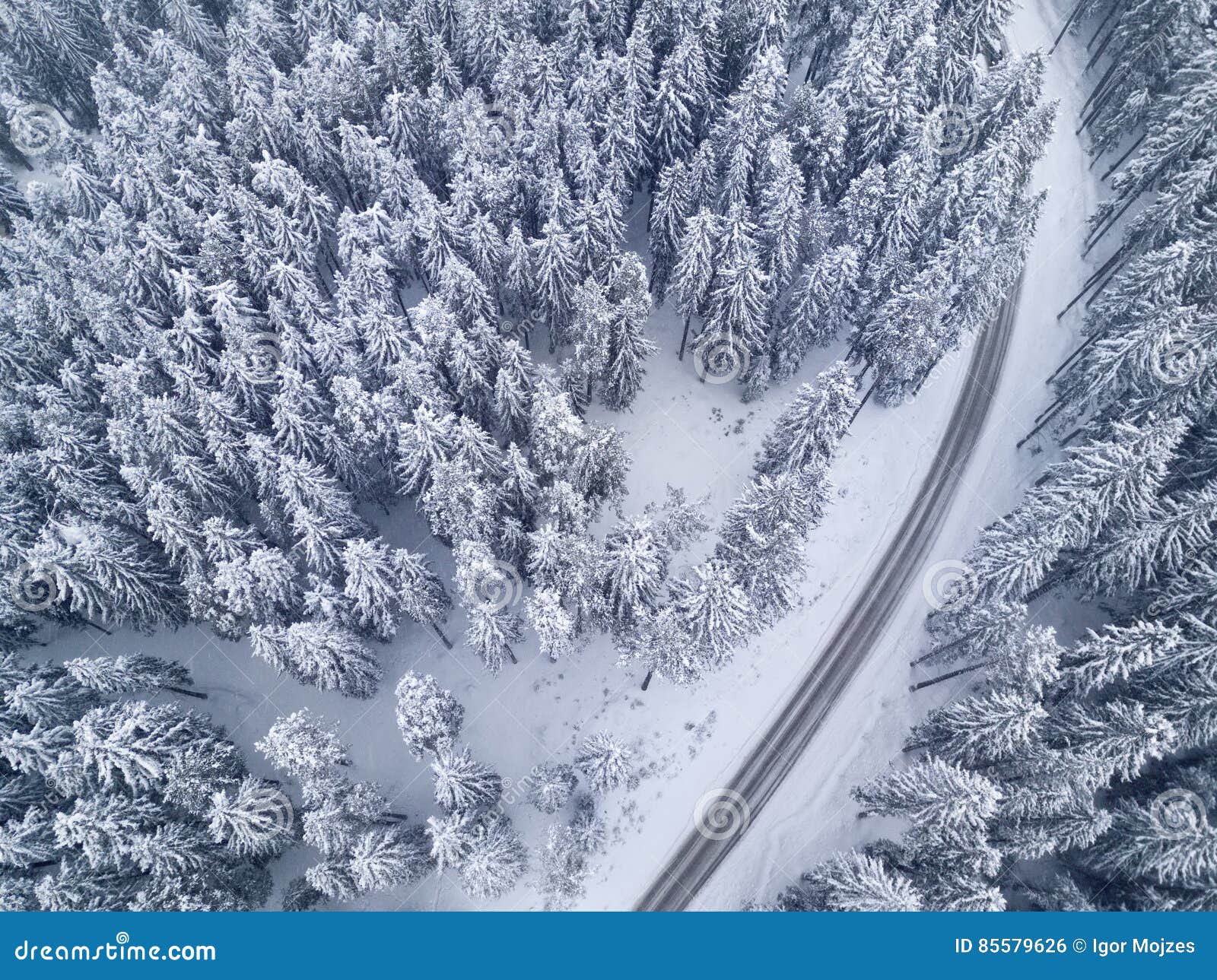 Road in Winter Forest Bird`s Eye View Stock Photo - Image of bright ...