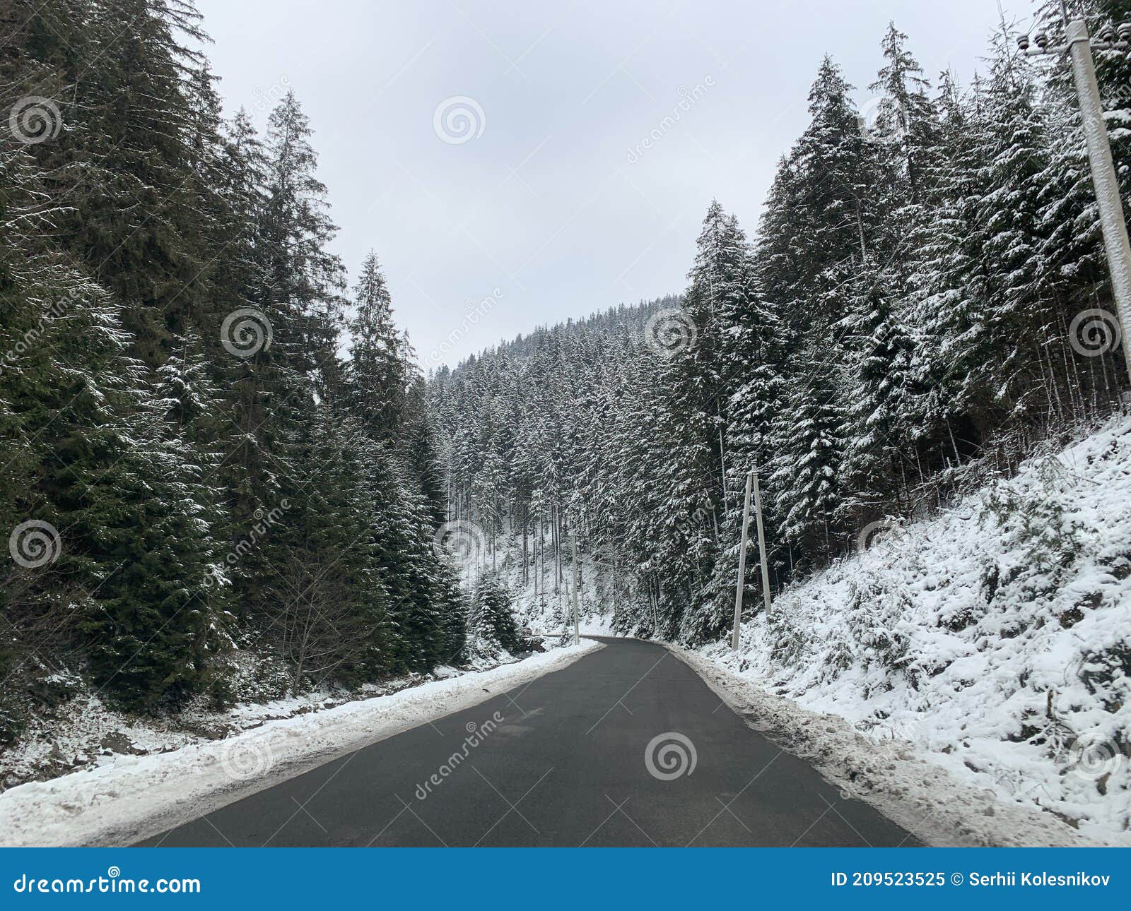 The Road through the Winter Forest. a Path in the Mountains Along a ...