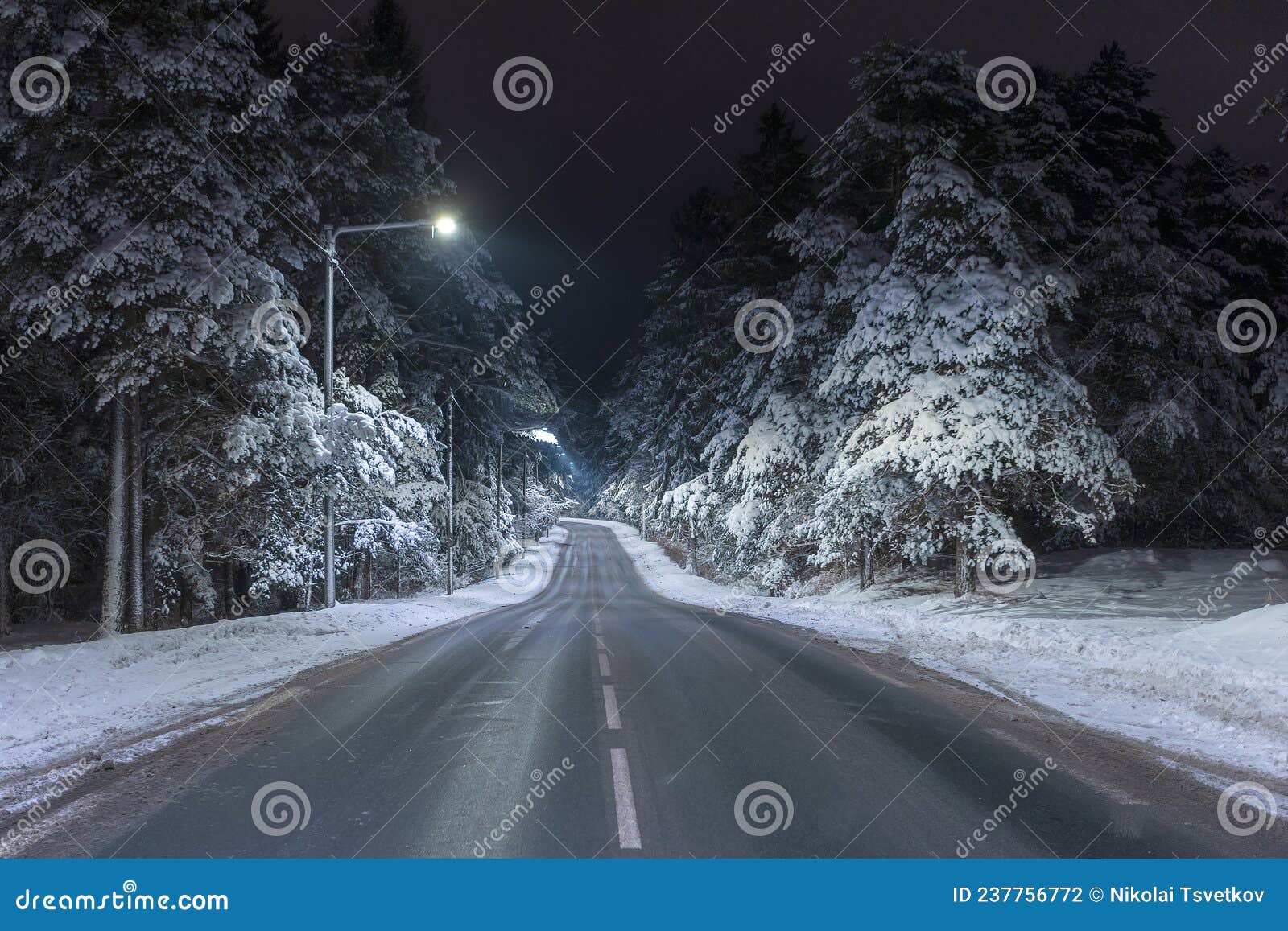 Road in the Winter Night Forest Stock Photo - Image of road, beautiful ...