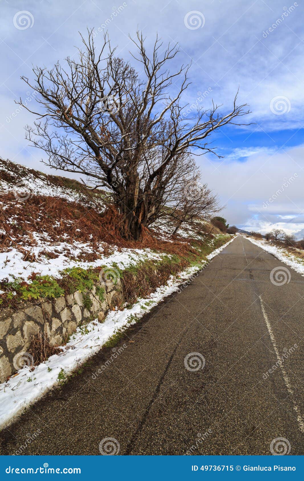 Road stock image. Image of scenic, country, nature, blue - 49736715