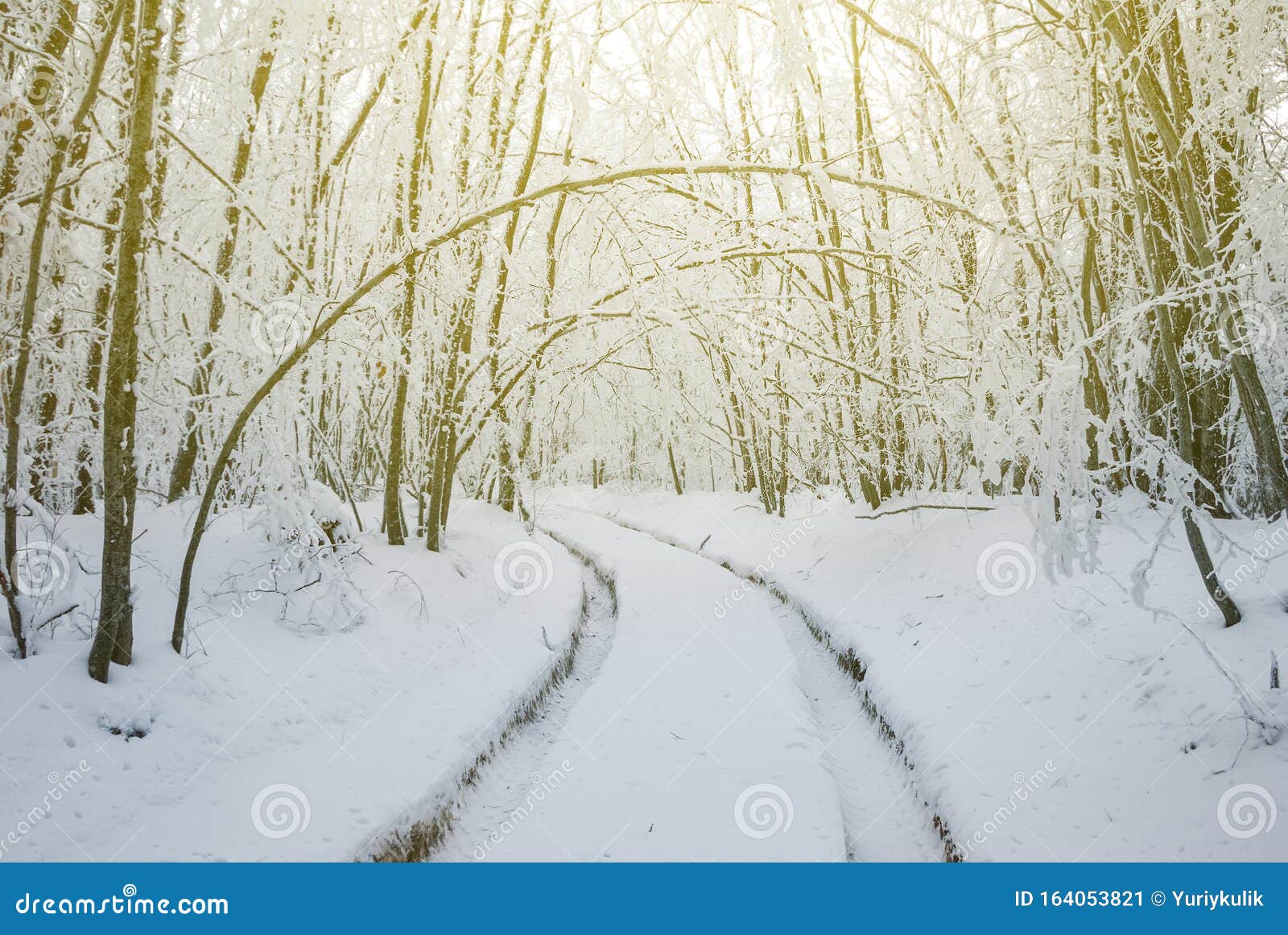 Road in a Winter Snowbound Forest Stock Image - Image of rest, nature ...