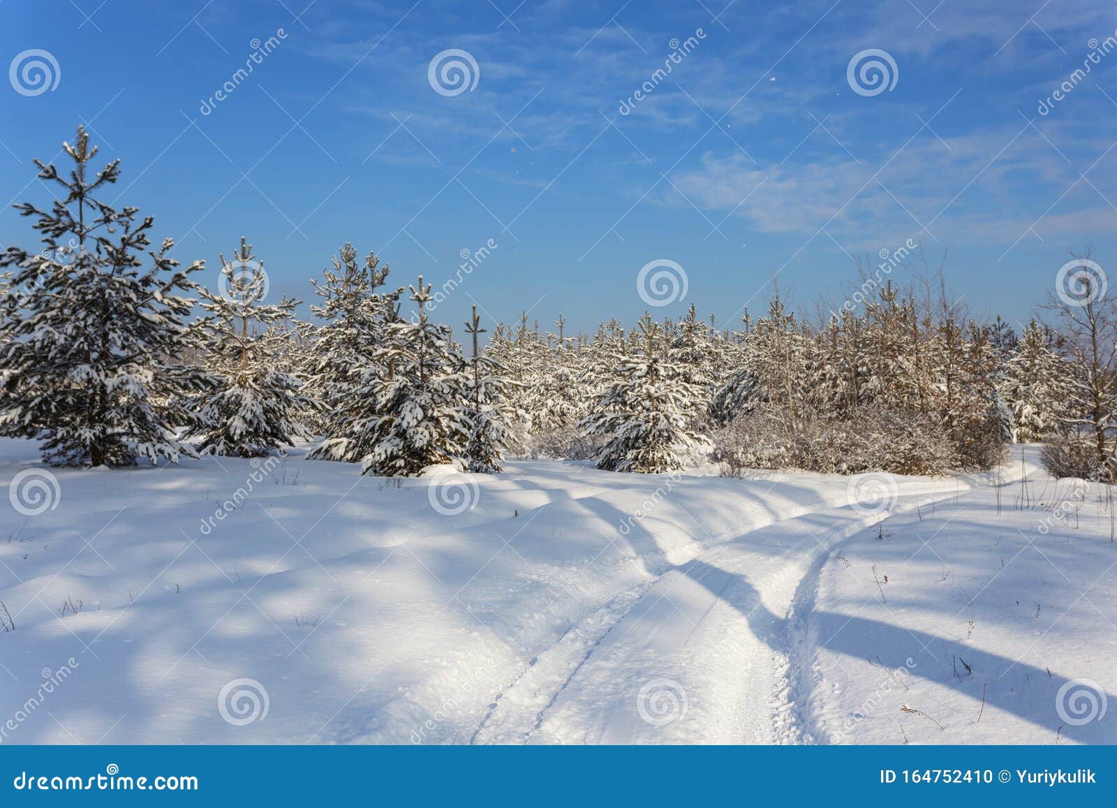 Road through Winter Snowbound Forest Stock Photo - Image of nature ...