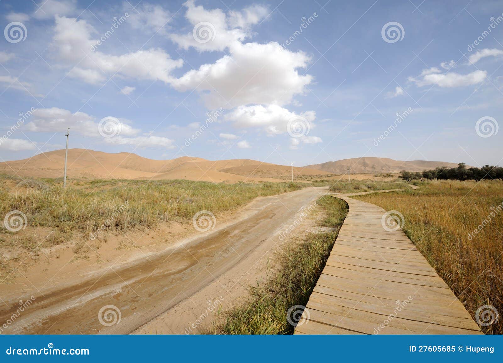Road and Wooden Path in Desert Stock Image - Image of environment ...