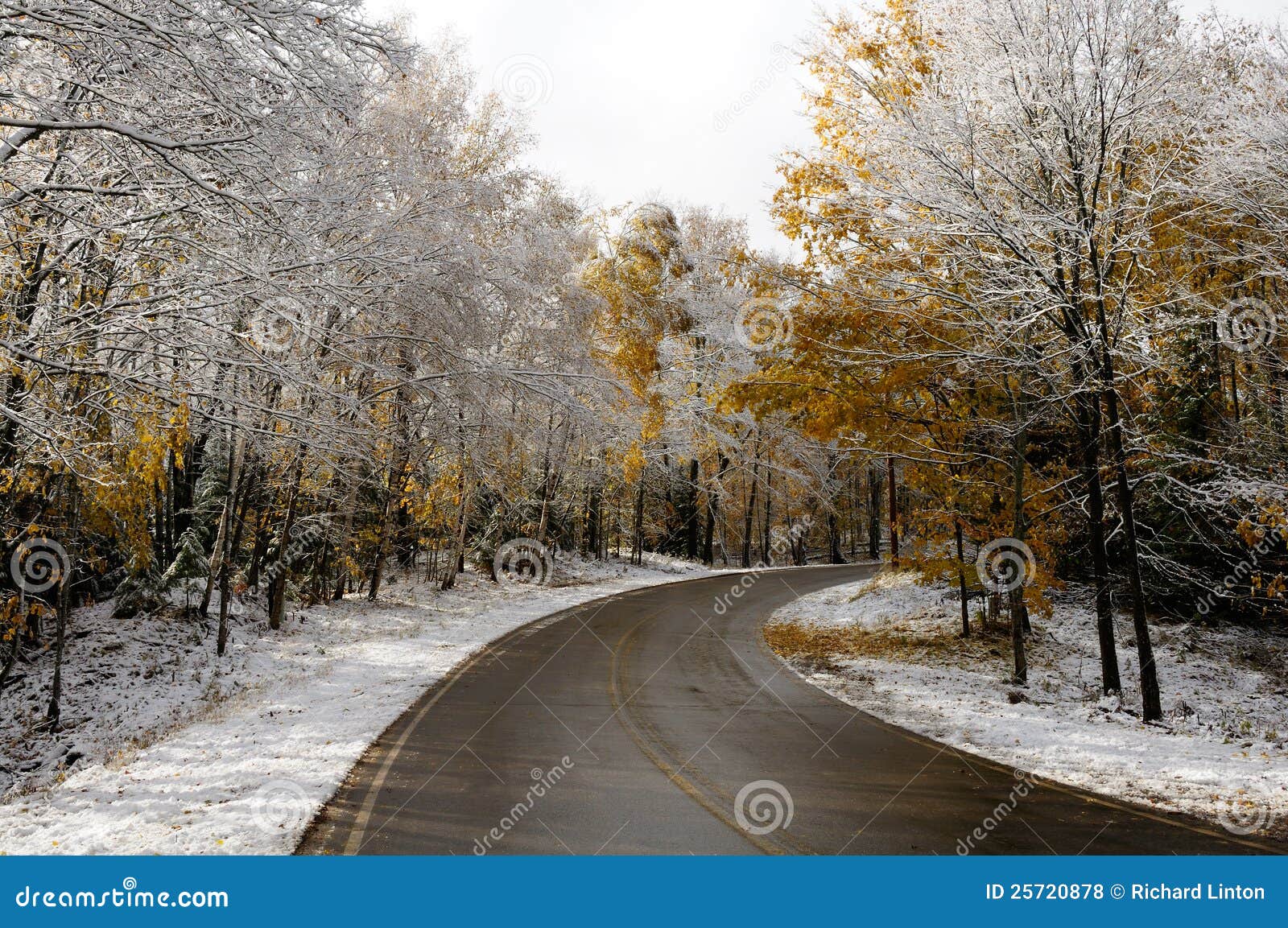 Road and Woods after Late Fall Snow Stock Photo - Image of yellow ...