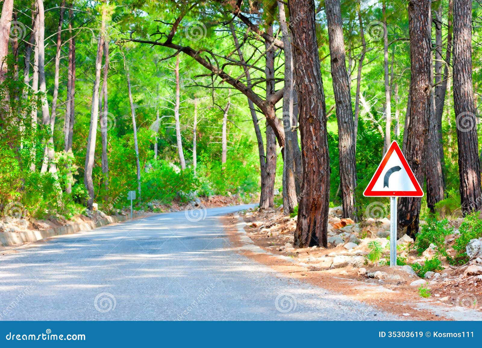 Road in the Woods and Sign of Rotation Stock Image - Image of cars ...