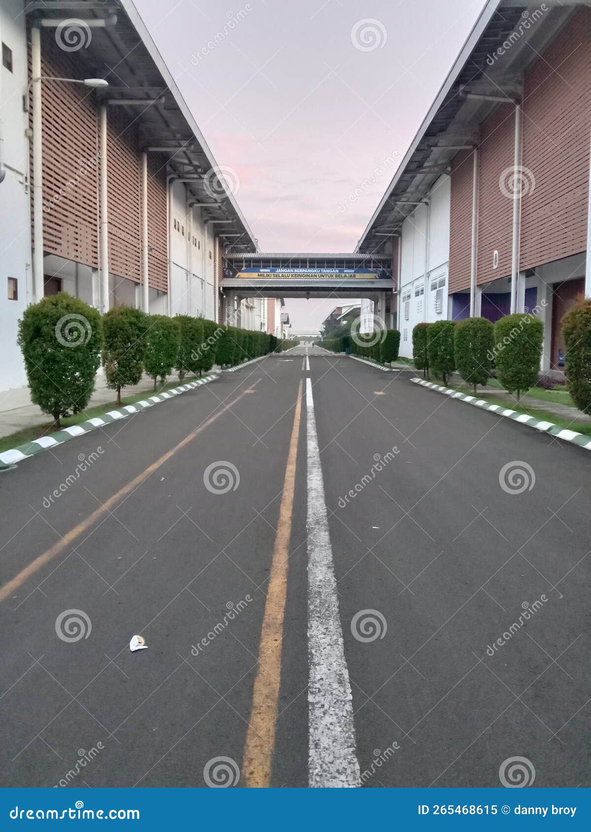 Road with Yellow and White Double Lines Stock Image - Image of white ...