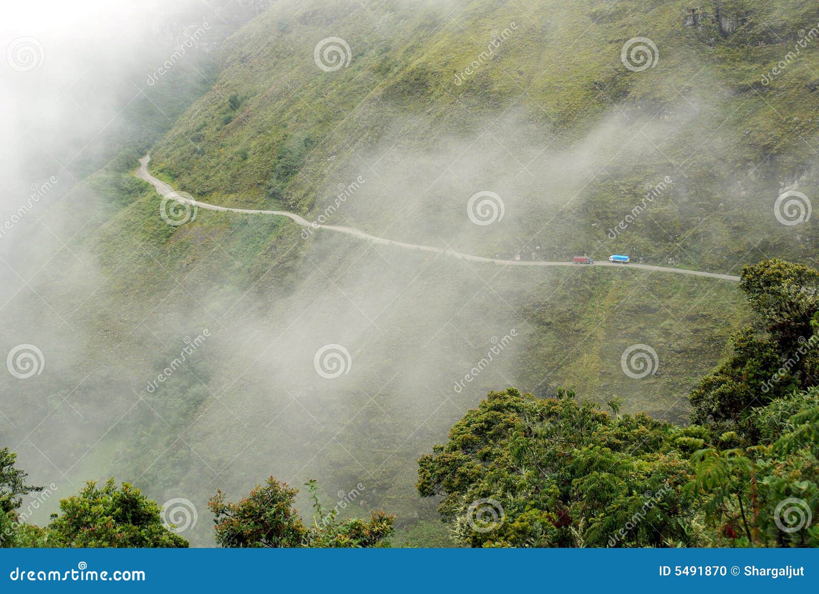 Road in Yungas, Bolivia stock photo. Image of yungas, trees - 5491870