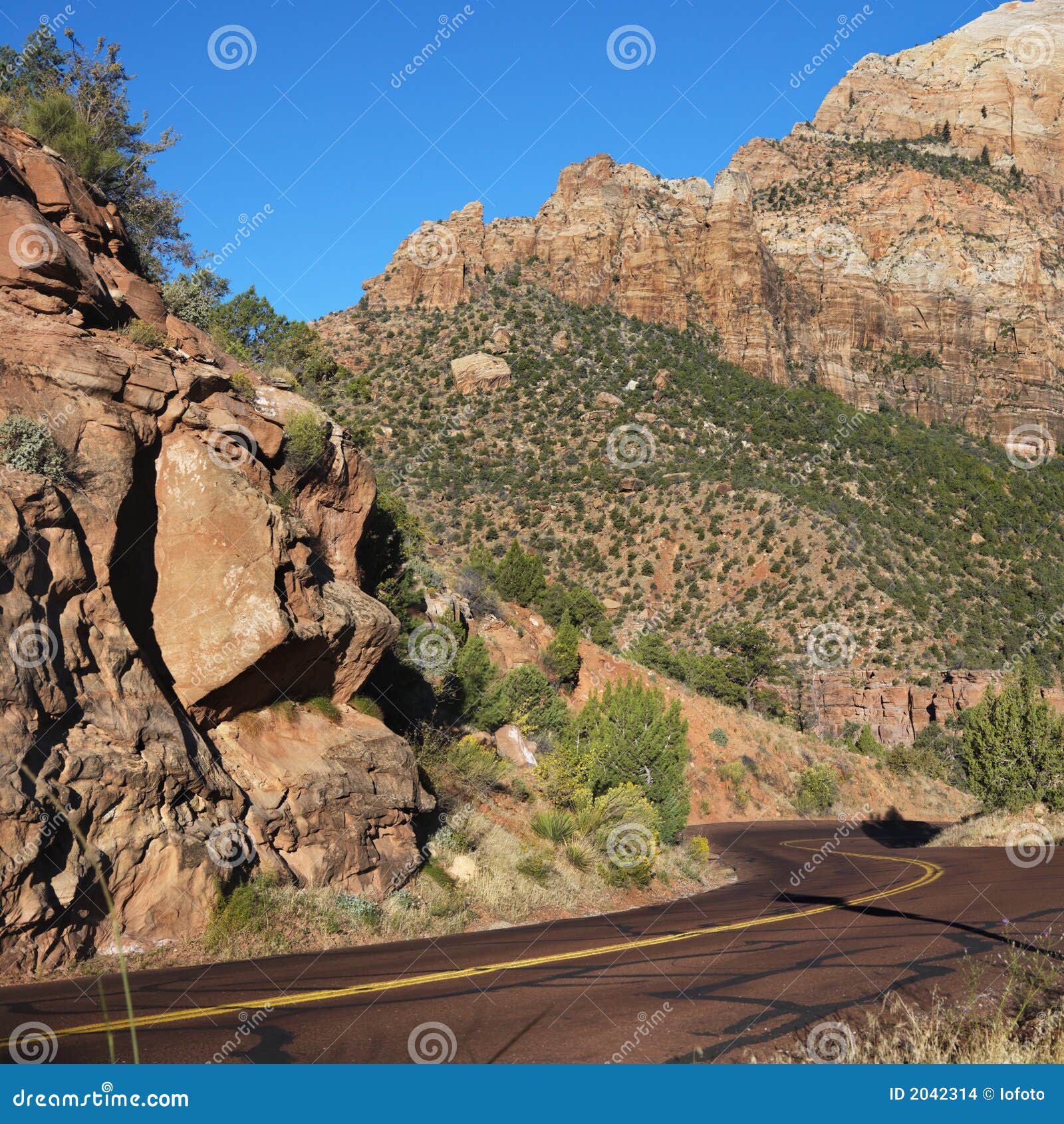 Road in Zion National Park, Utah. Stock Photo - Image of photograph ...