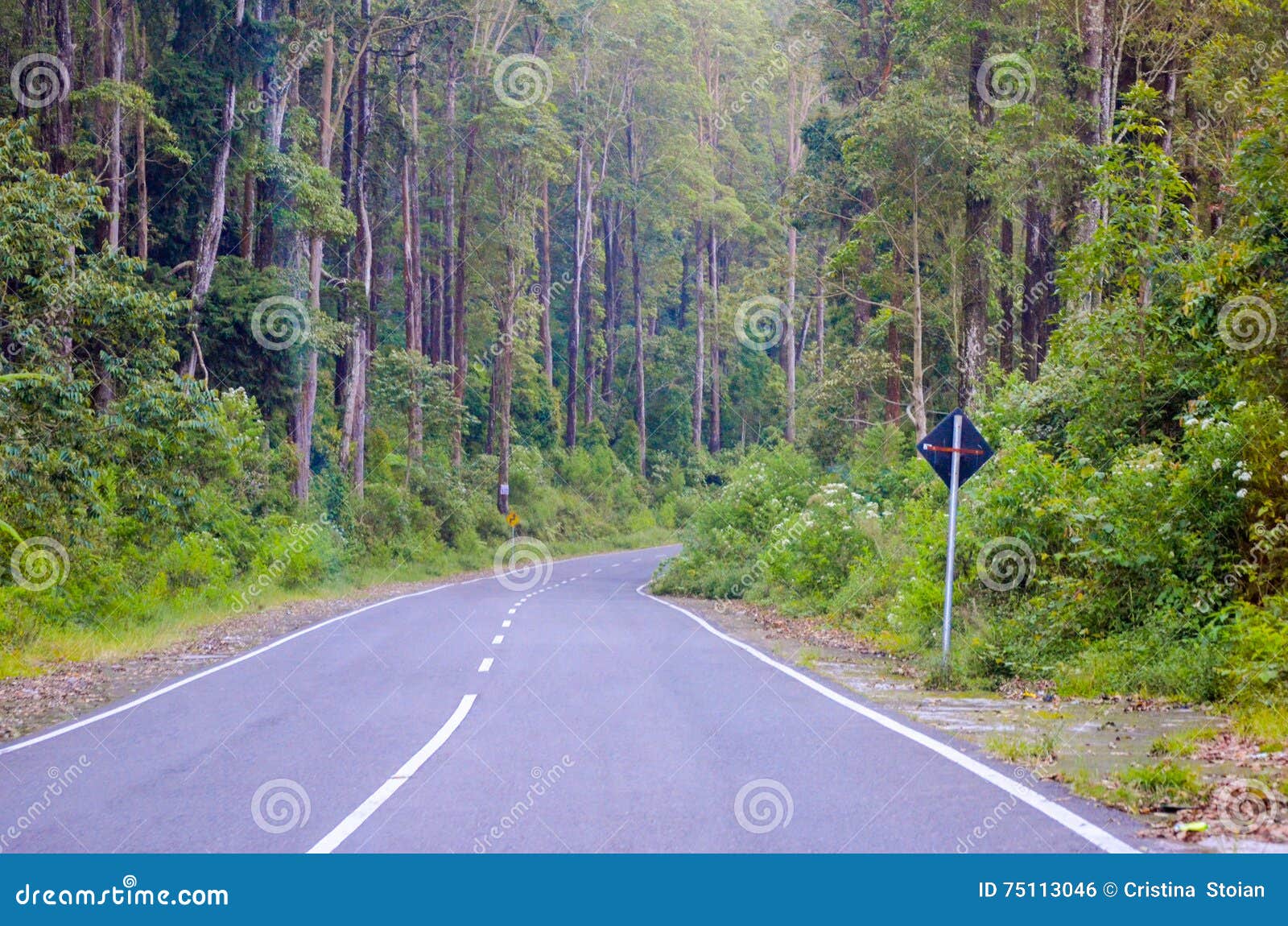 Roads of Java, Indonesia stock photo. Image of road, java - 75113046