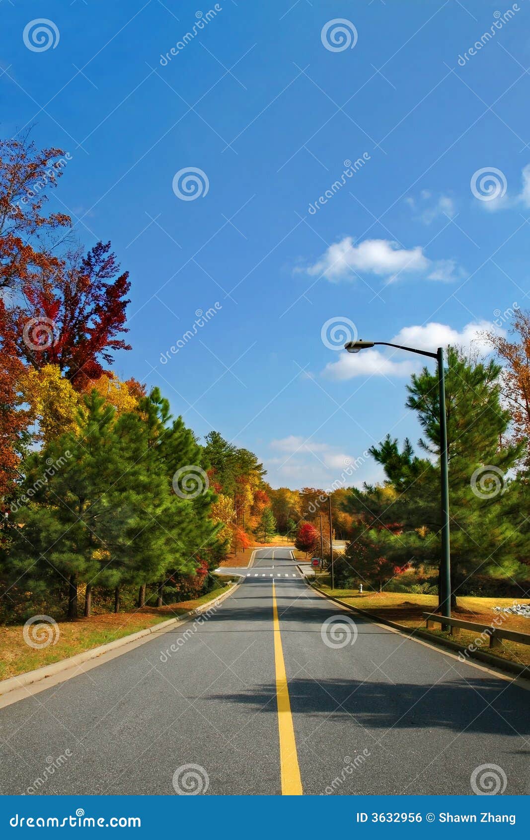Roads in a Park stock photo. Image of cloud, forest, track - 3632956