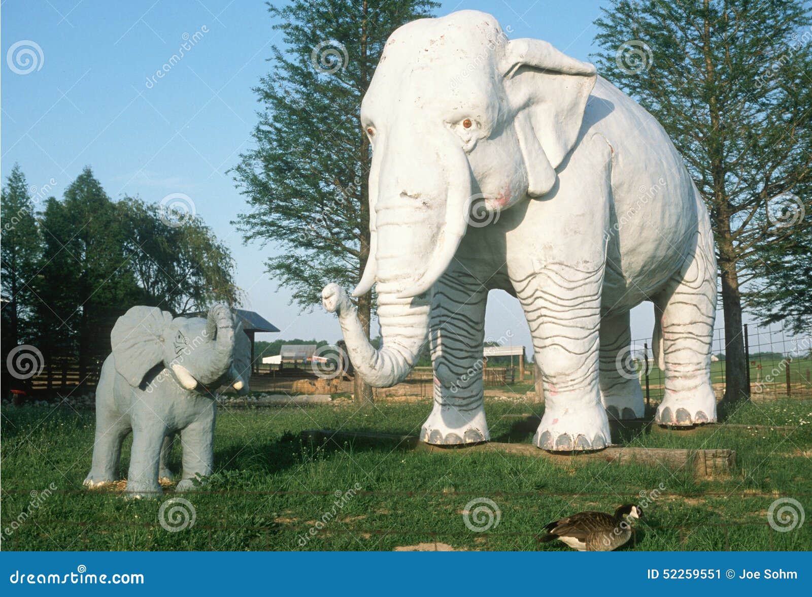 Roadside Attraction of Gigantic White Elephant with Baby Editorial ...