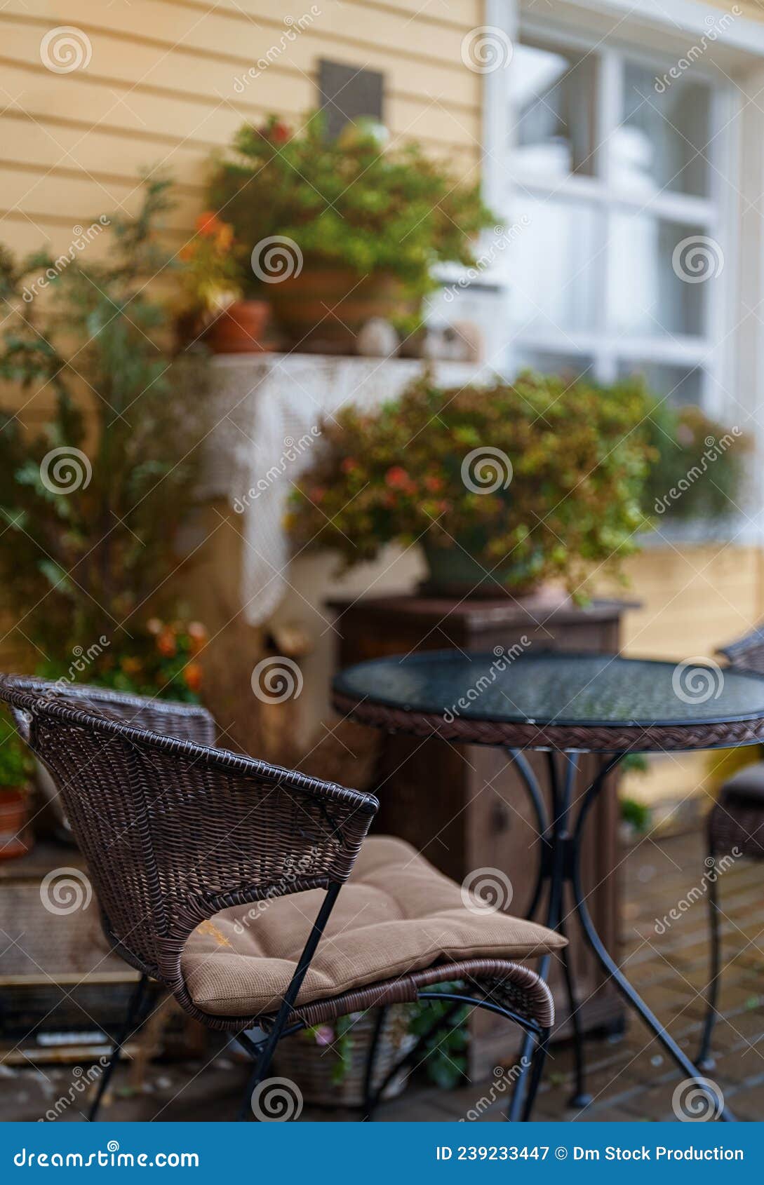 Roadside cafe interior stock image. Image of business - 239233447