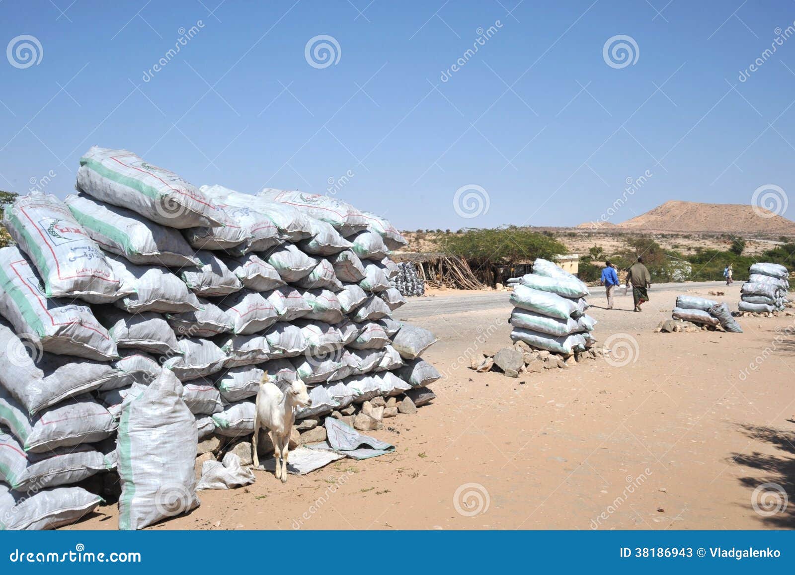 Roadside charcoal trade editorial stock photo. Image of africa - 38186943