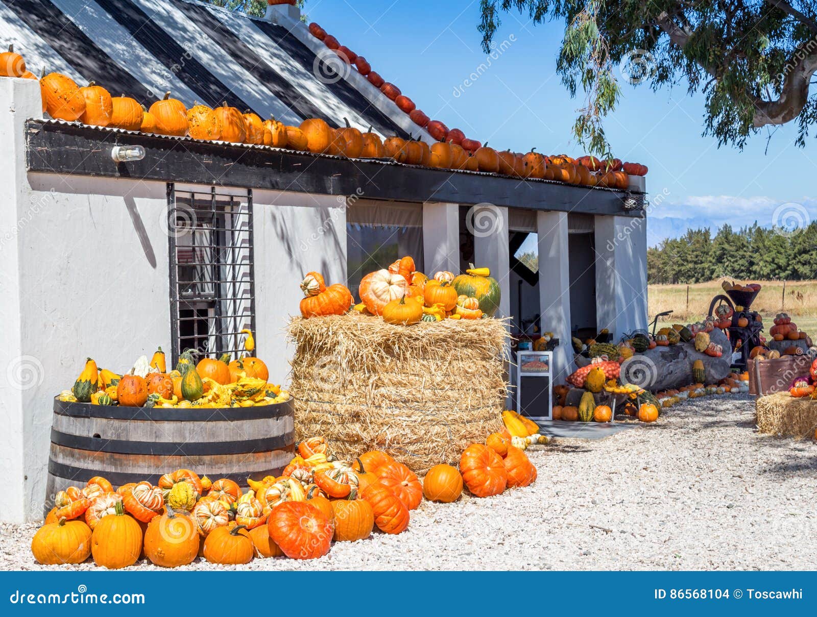 Roadside Farm Stall with Pumpkins and Vegetables Stock Photo - Image of ...