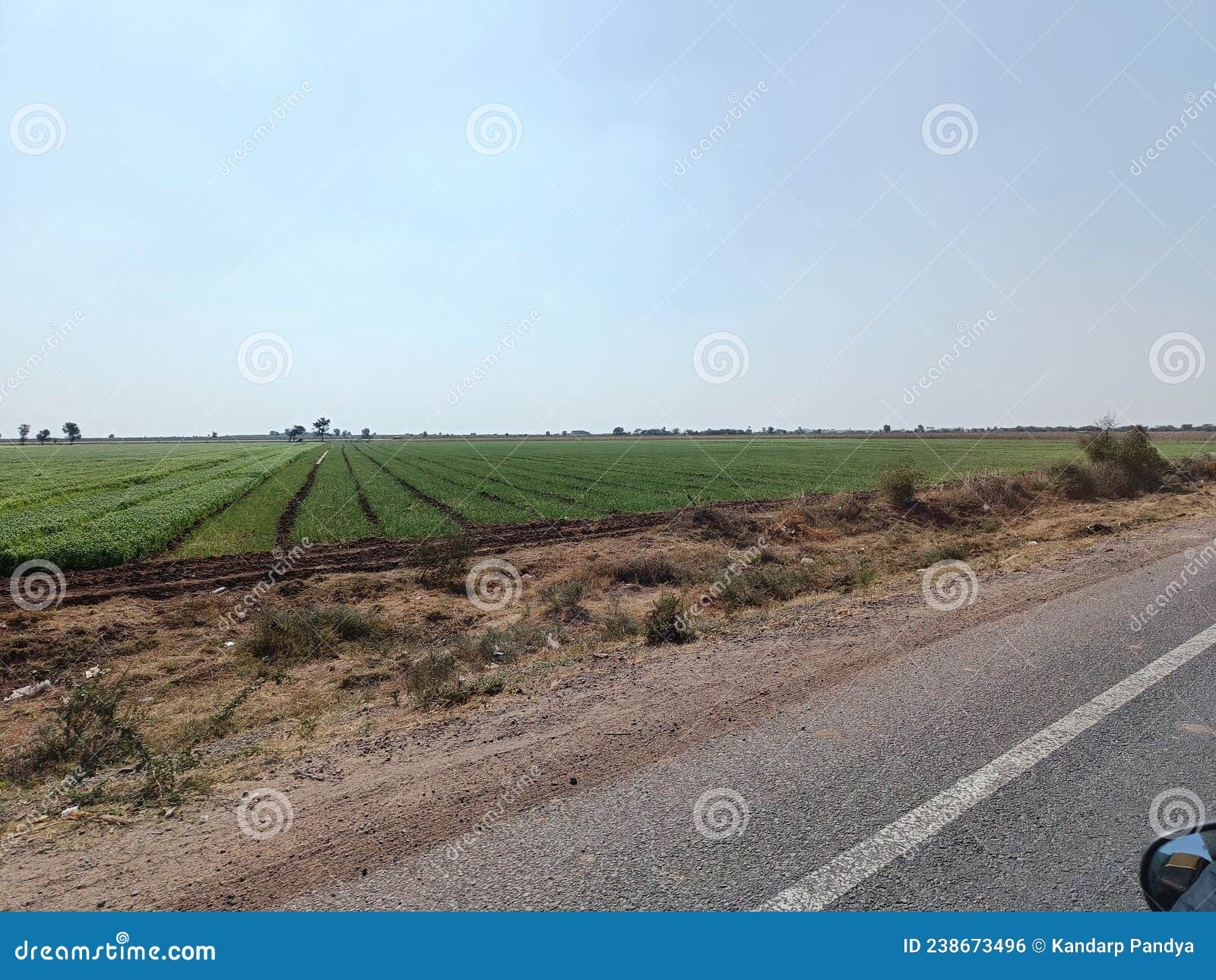 Roadside farm view stock photo. Image of plain, horizon - 238673496