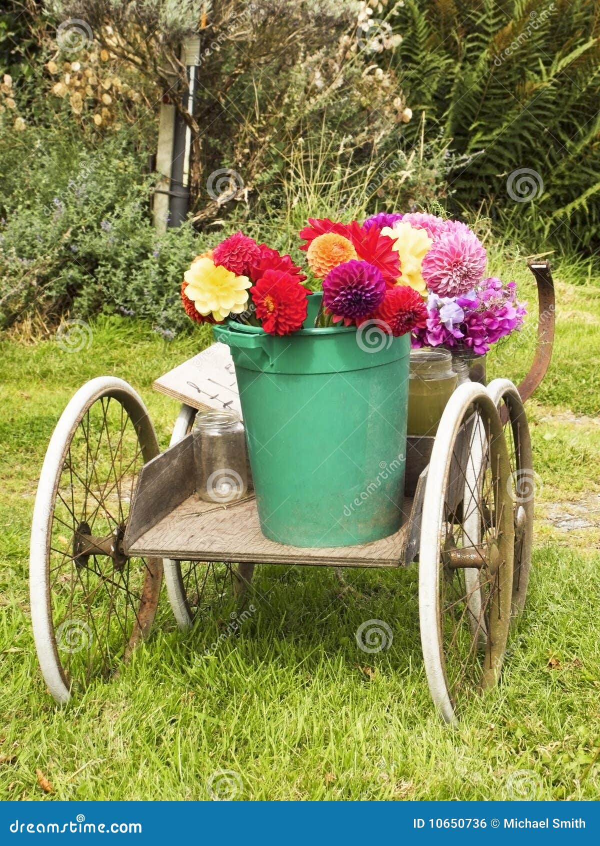 Roadside flowers stock photo. Image of flora, bright - 10650736