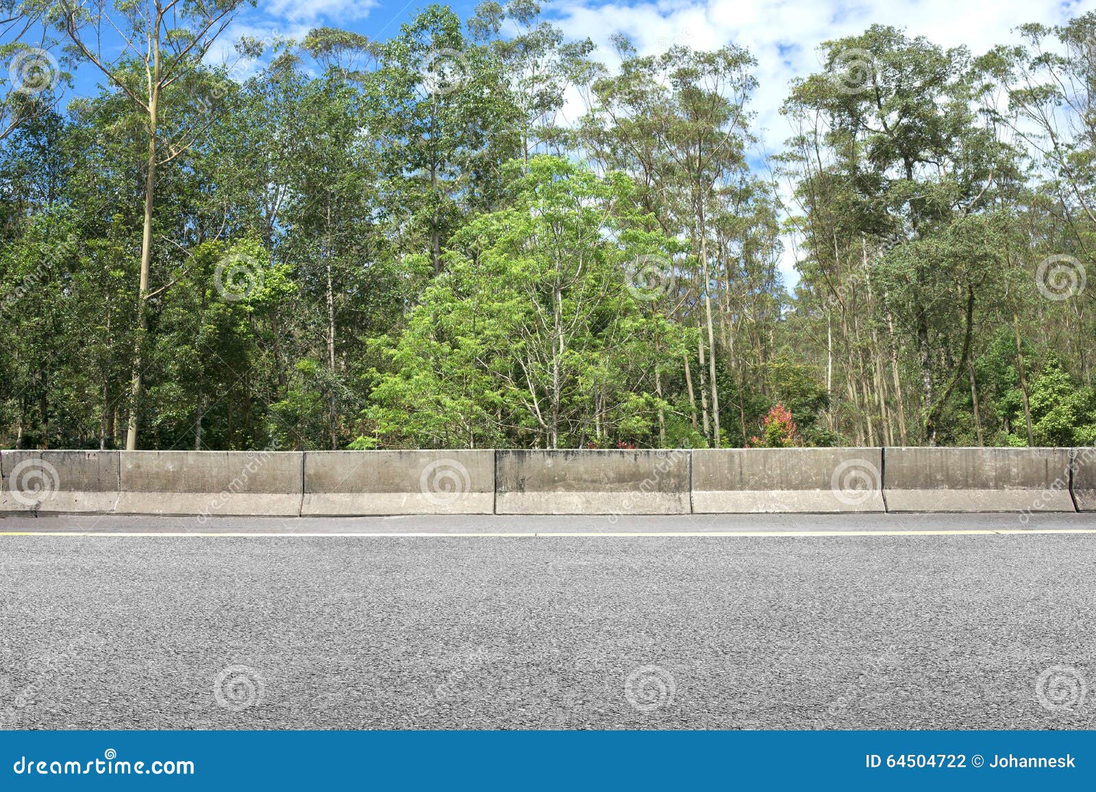 Roadside and forest stock photo. Image of grey, summer - 64504722