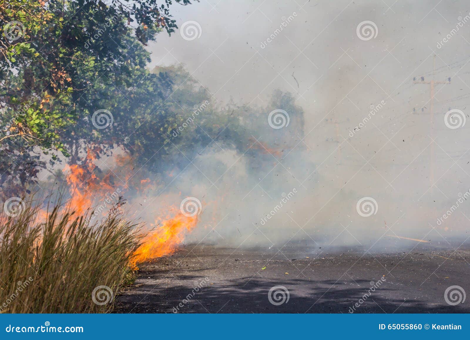 Roadside grass fires. stock photo. Image of damage, fire - 65055860