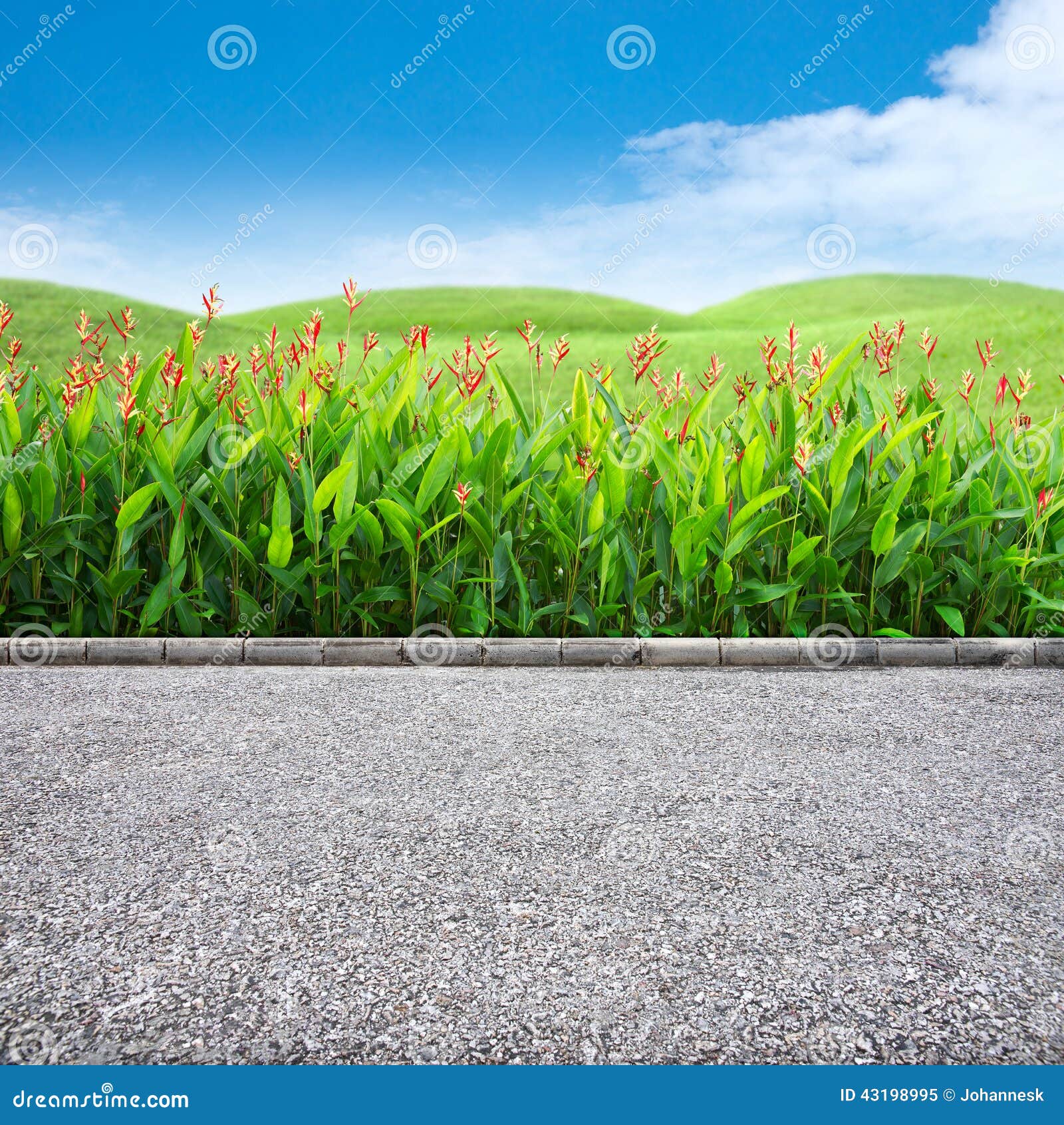 Roadside and grass stock image. Image of travel, landscape - 43198995