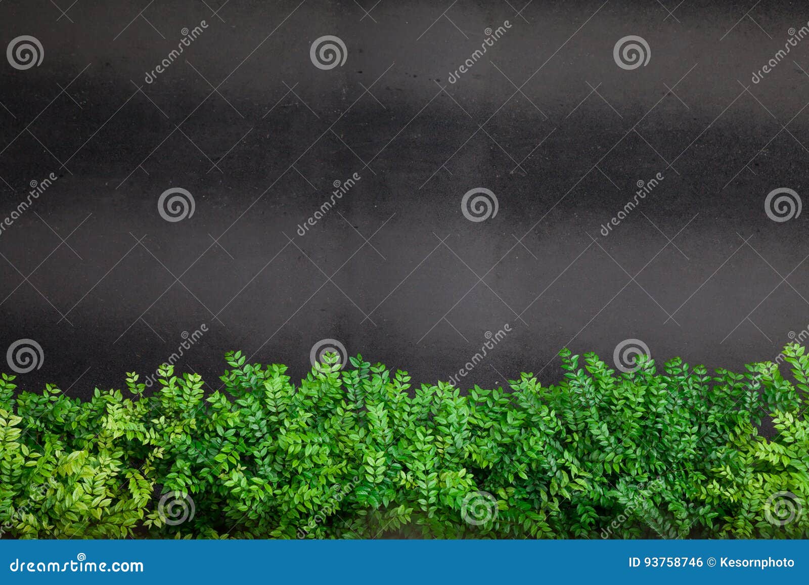Roadside green bushes stock photo. Image of background - 93758746