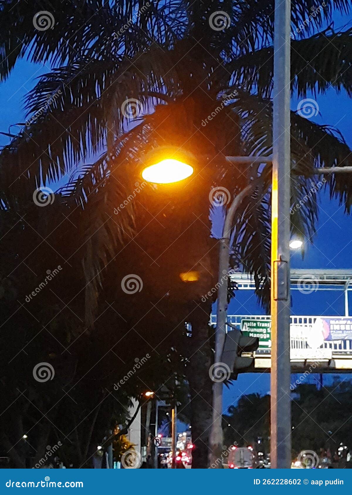 Roadside Lights on at Night Editorial Photography - Image of tree ...